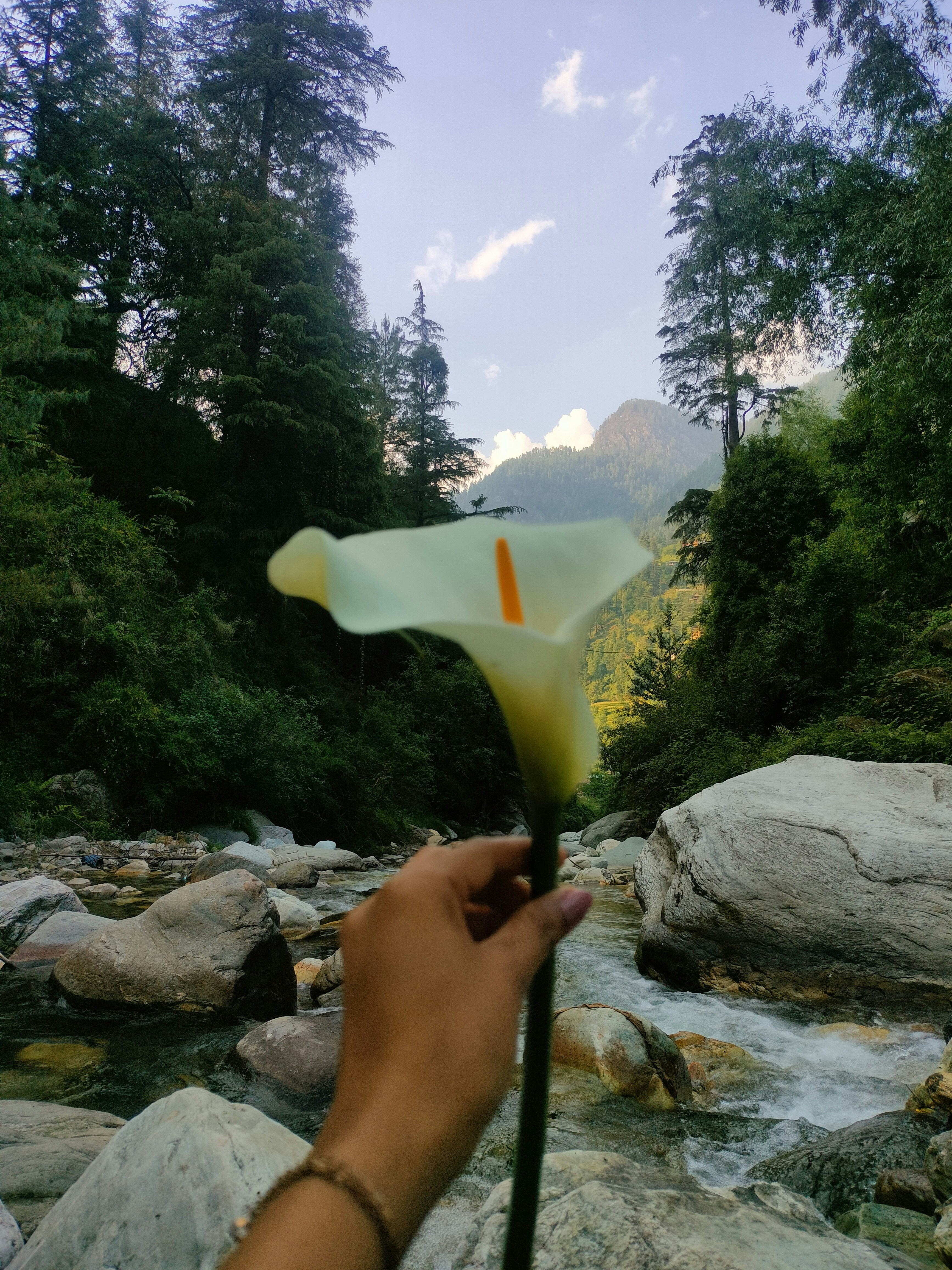 Neha (@ne_ha_00) | Unsplash Photo Community