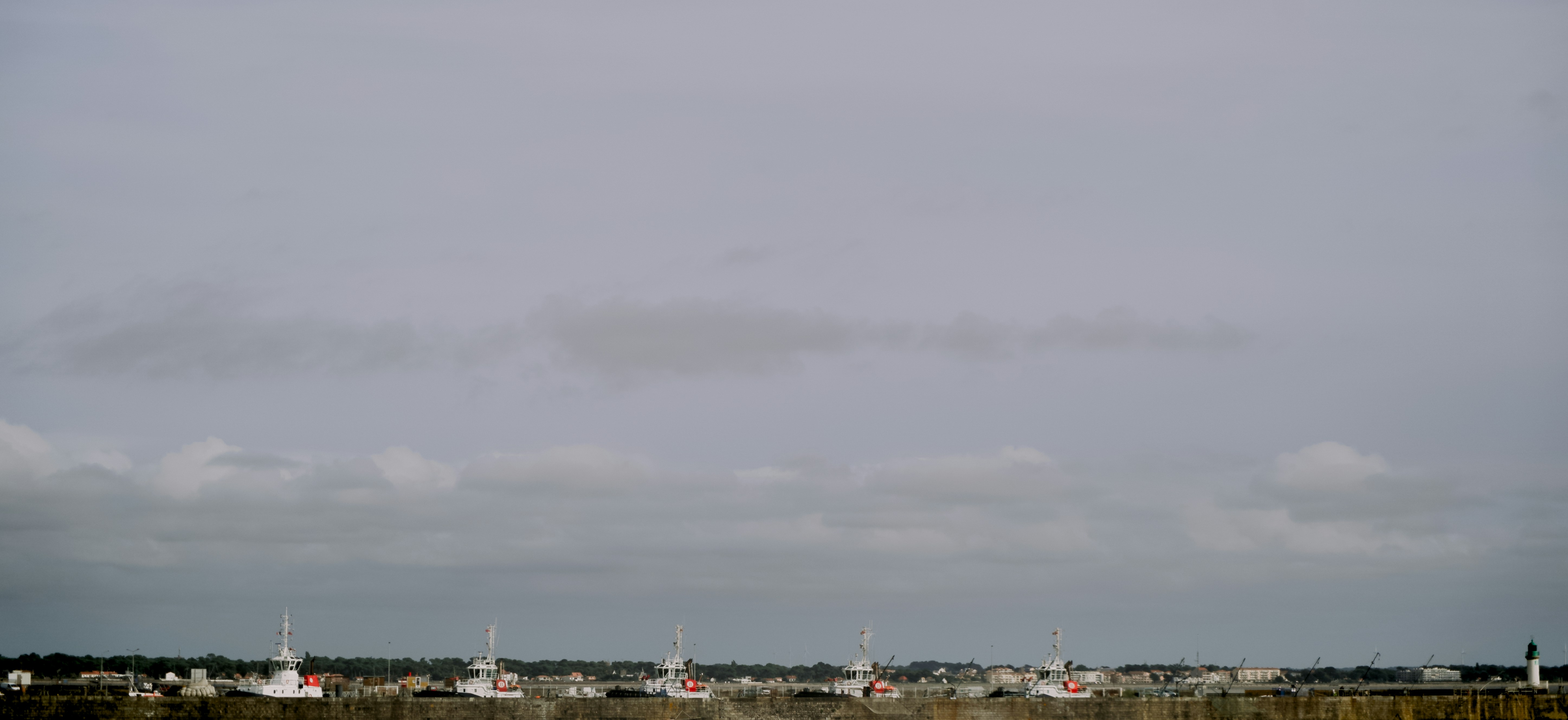 Horizon of Masts: A Quiet Harbor Line
