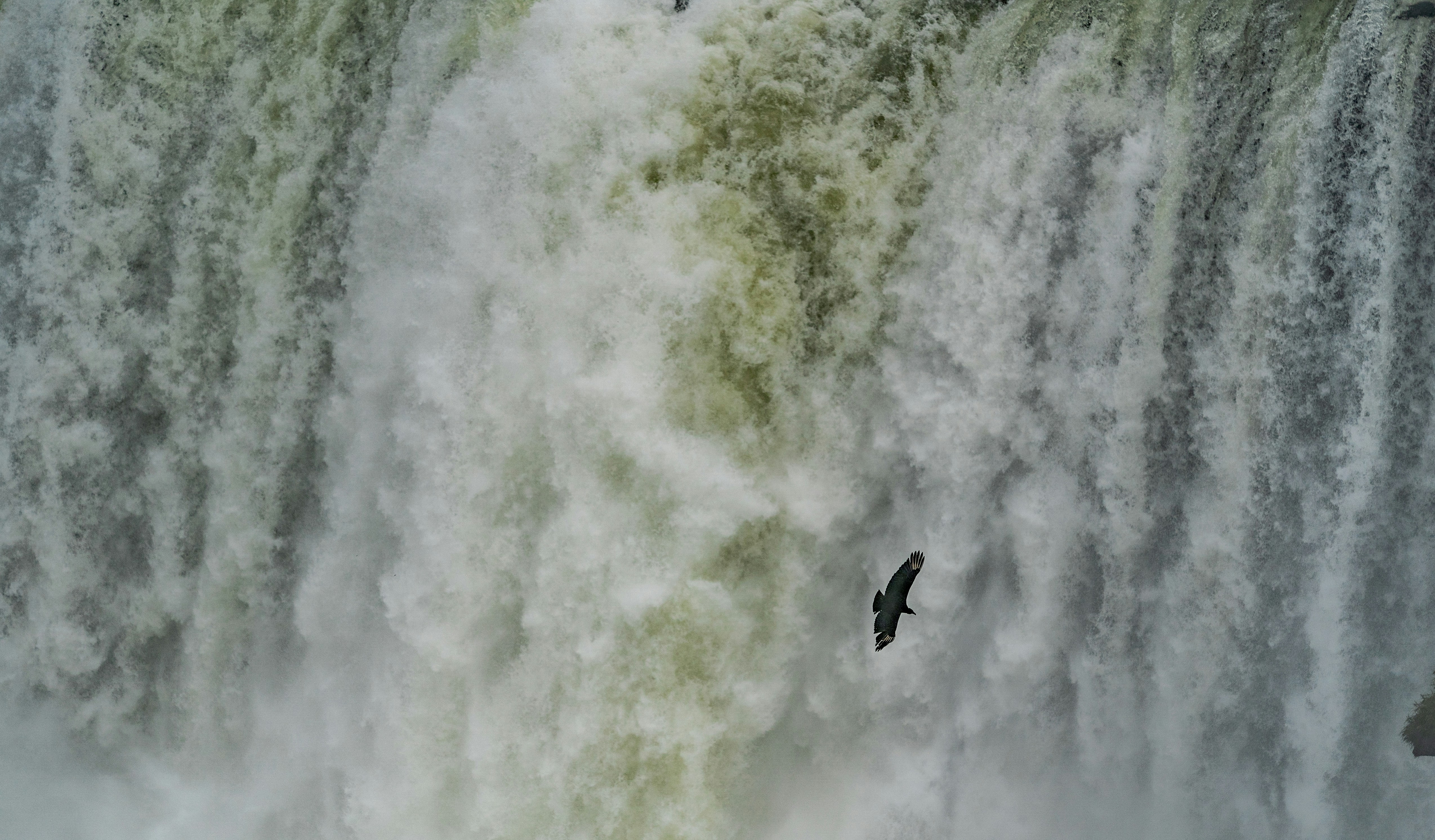 A group of people standing in front of a waterfall photo – Free Nature ...
