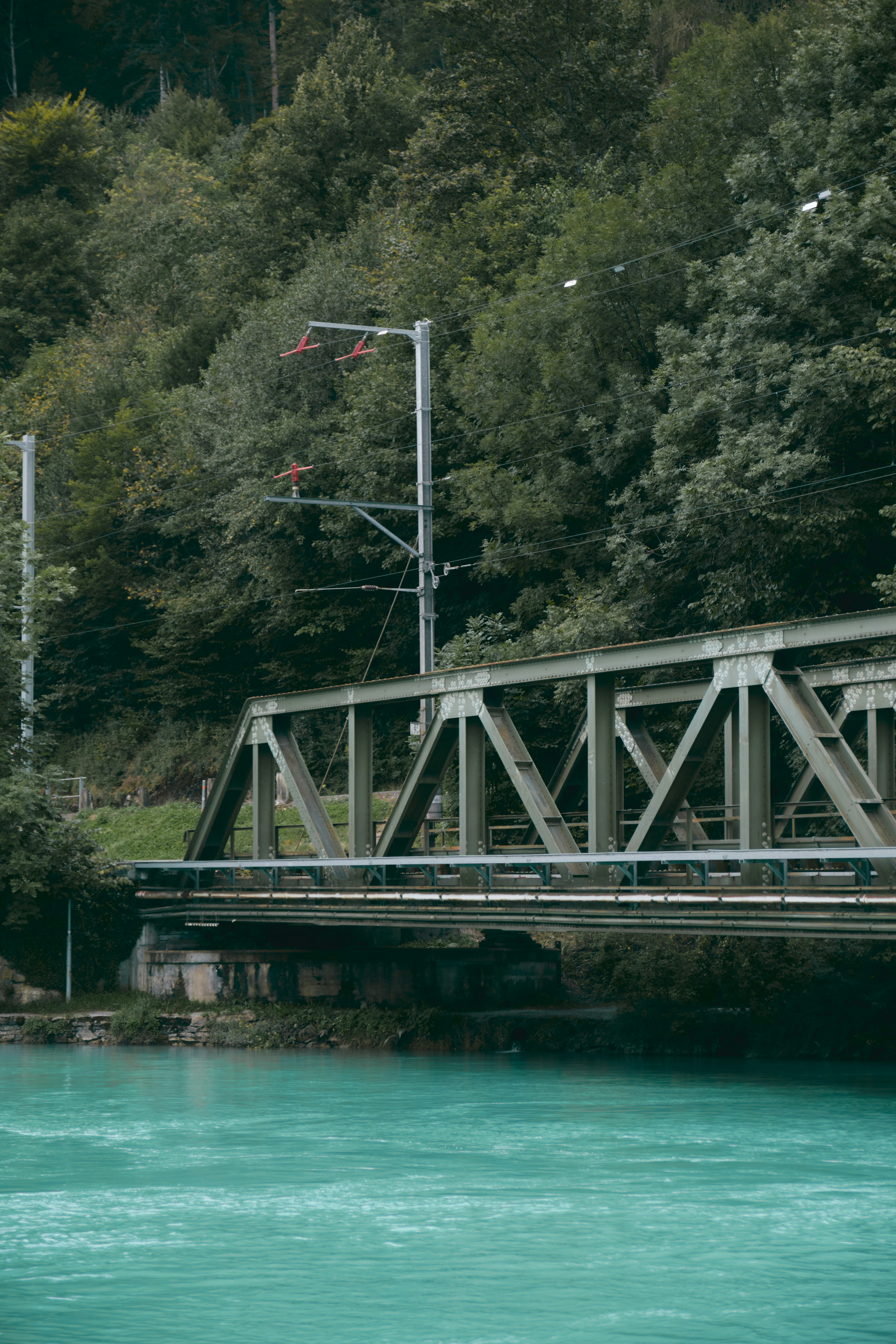 Turquoise River Crossing: A Steel Bridge Quietly Carves Through Emerald Pines