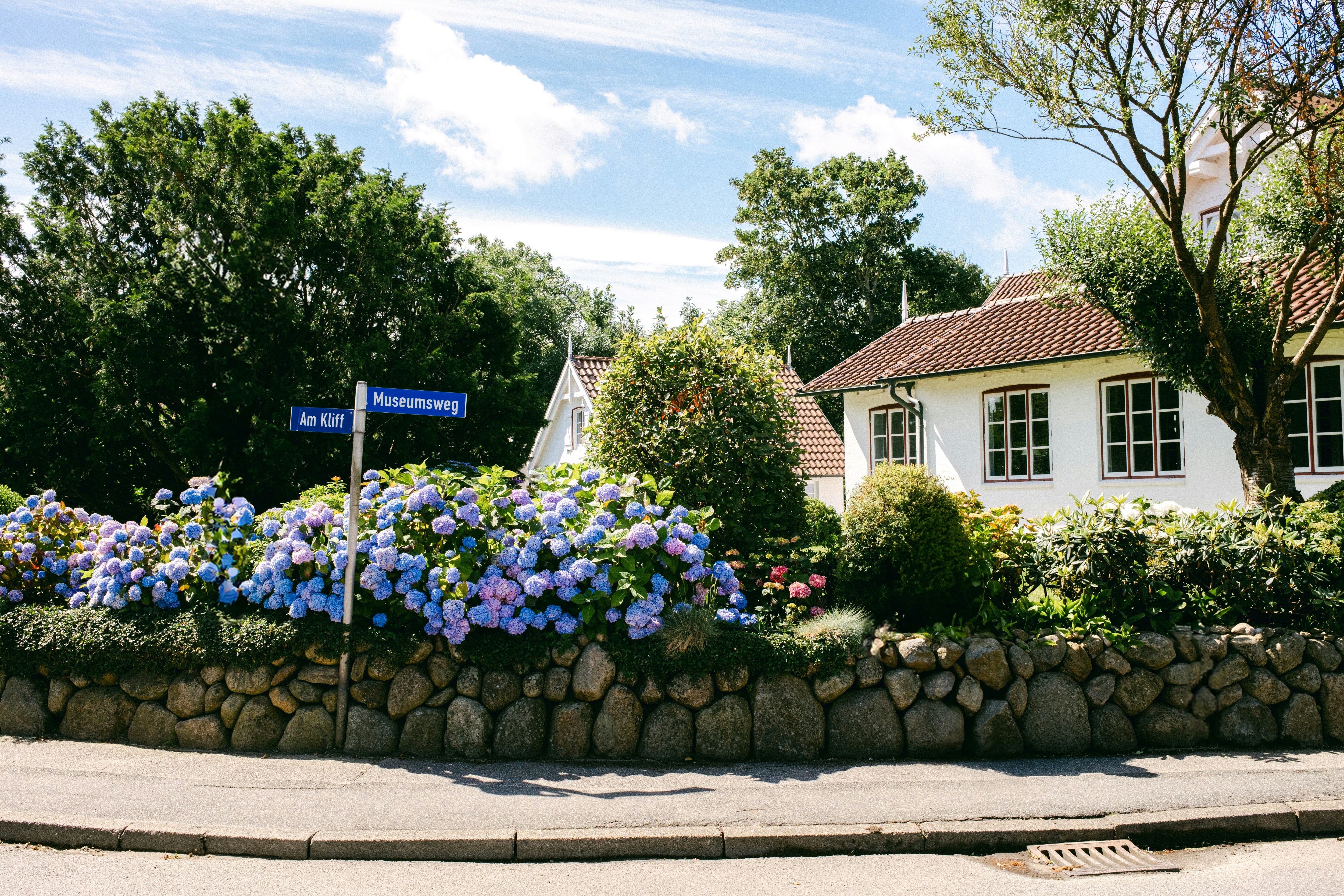 A white house with blue flowers in front of it