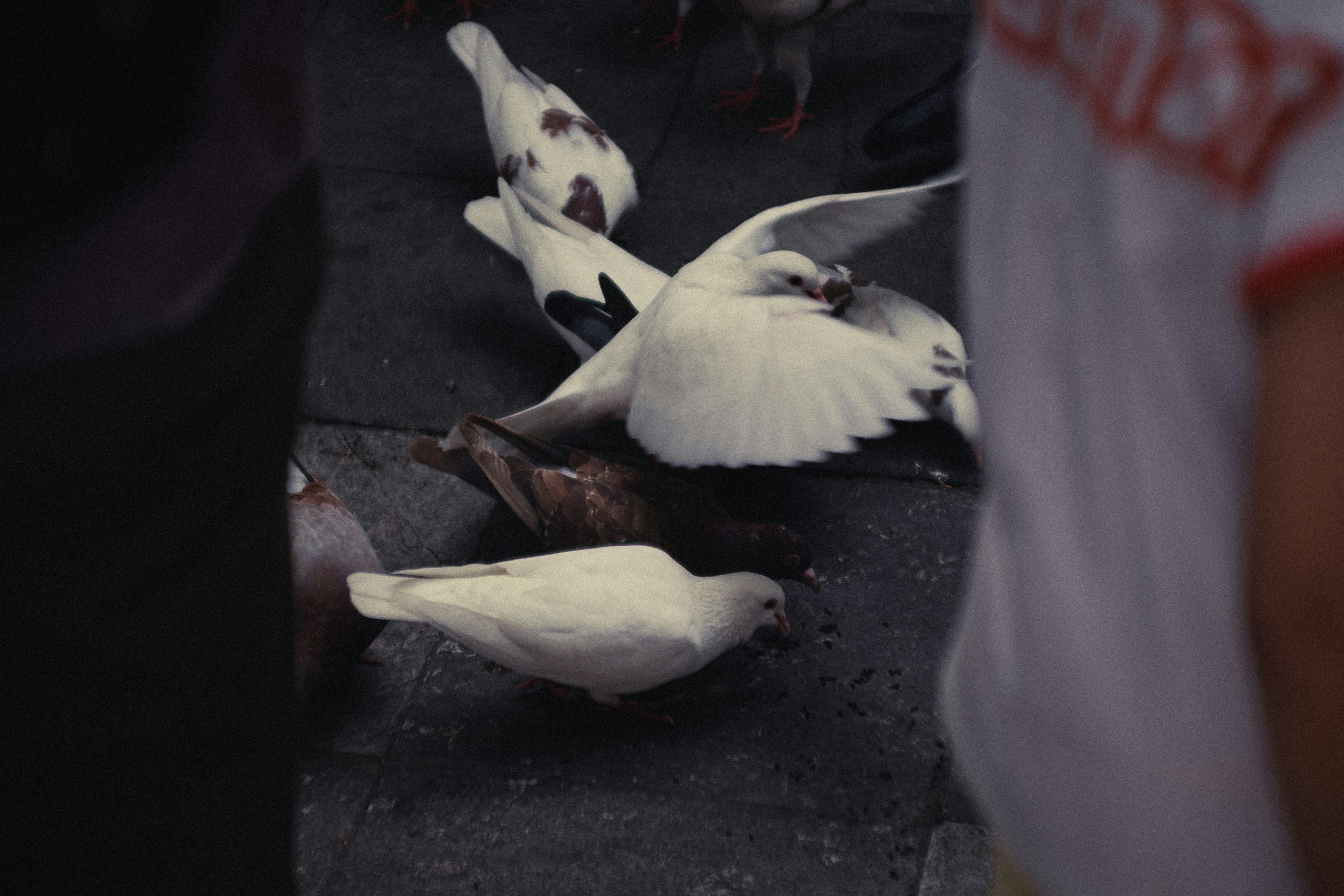 Photo by nahmapdj with Fujifilm X-T1