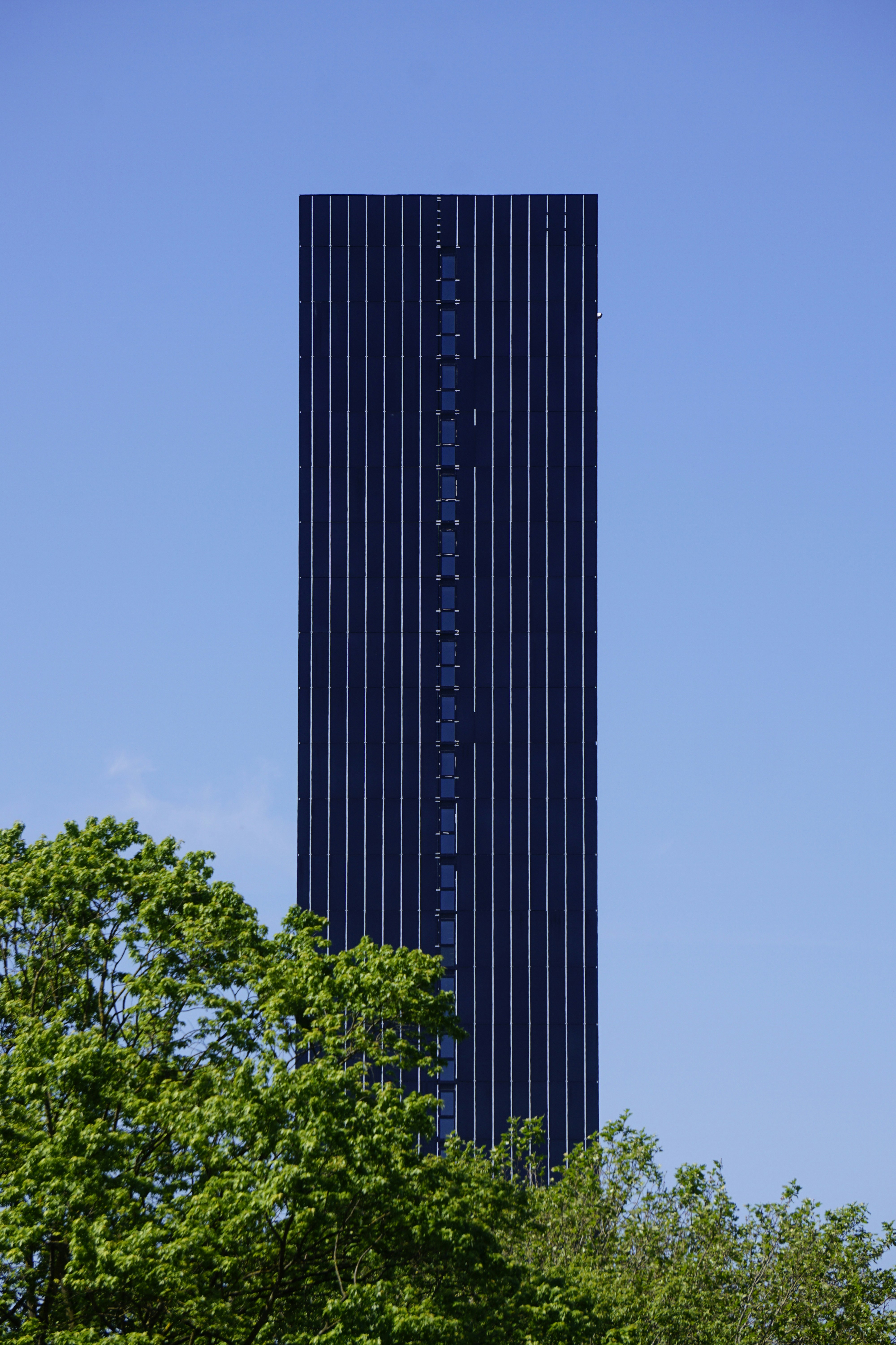 Photo by Sam with Sony Alpha 6000