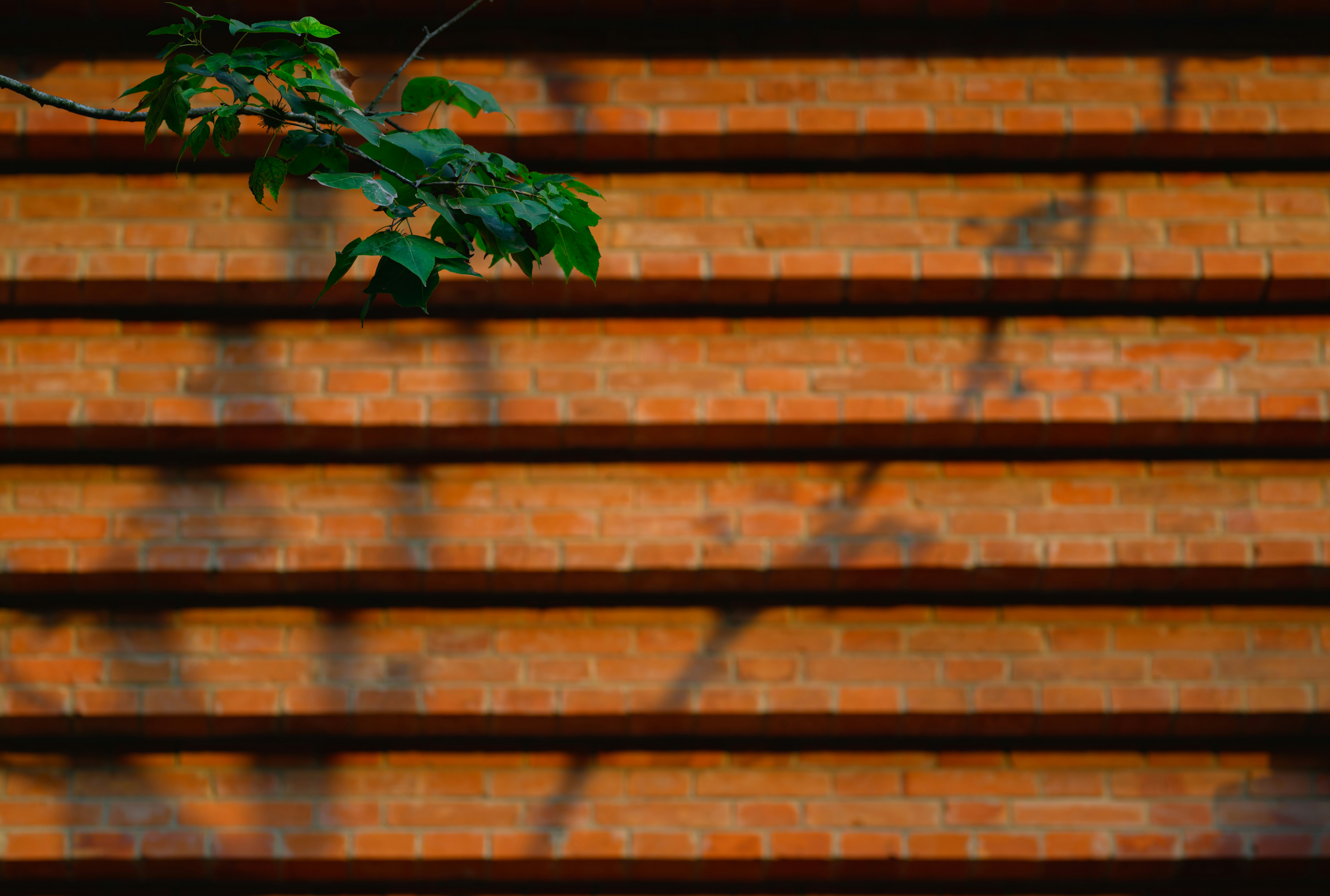 A red brick wall with a tree branch in front of it