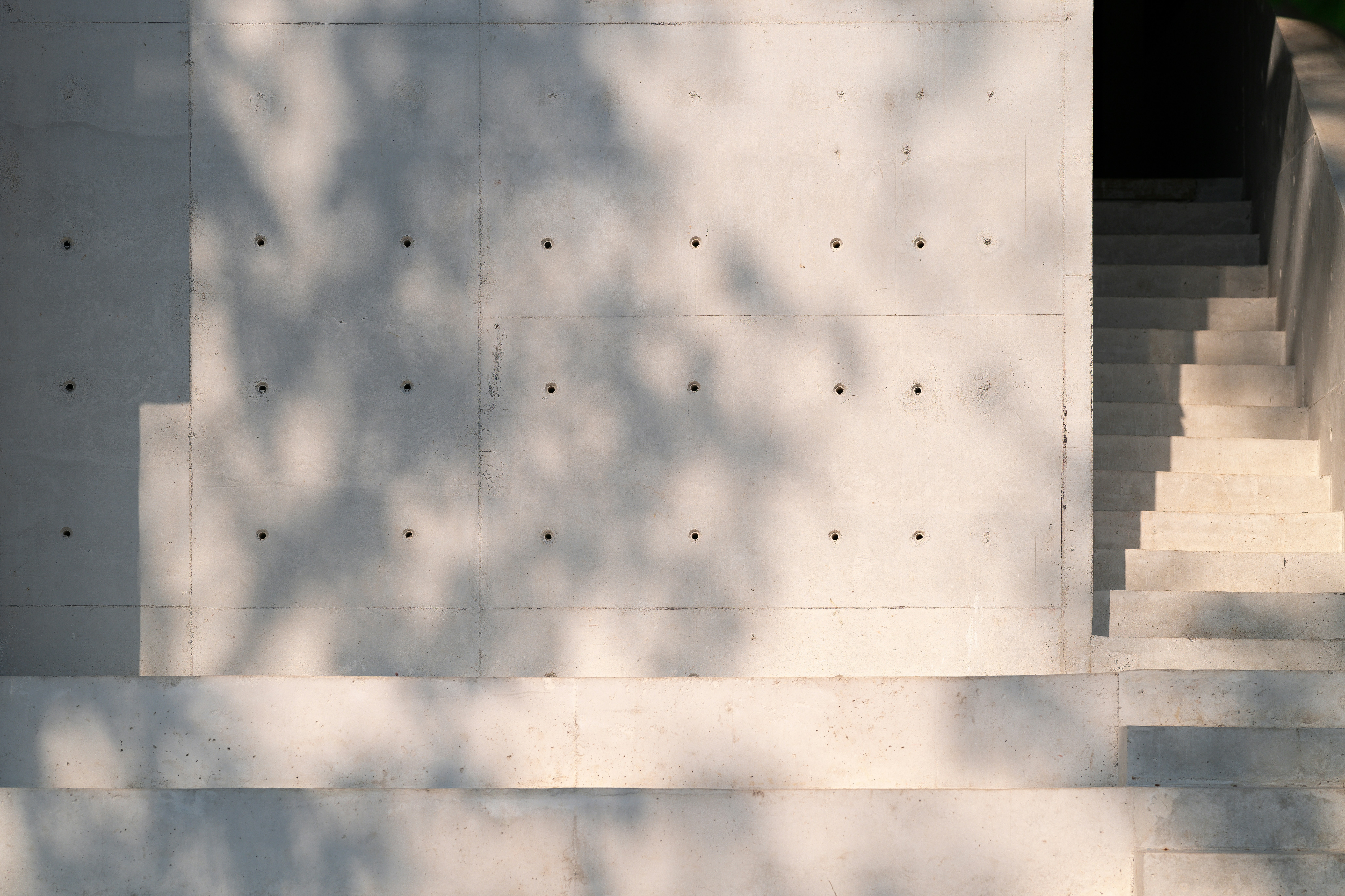 Concrete wall with subtle textures and shadows, leading to a staircase. The interplay of light creates a serene atmosphere.