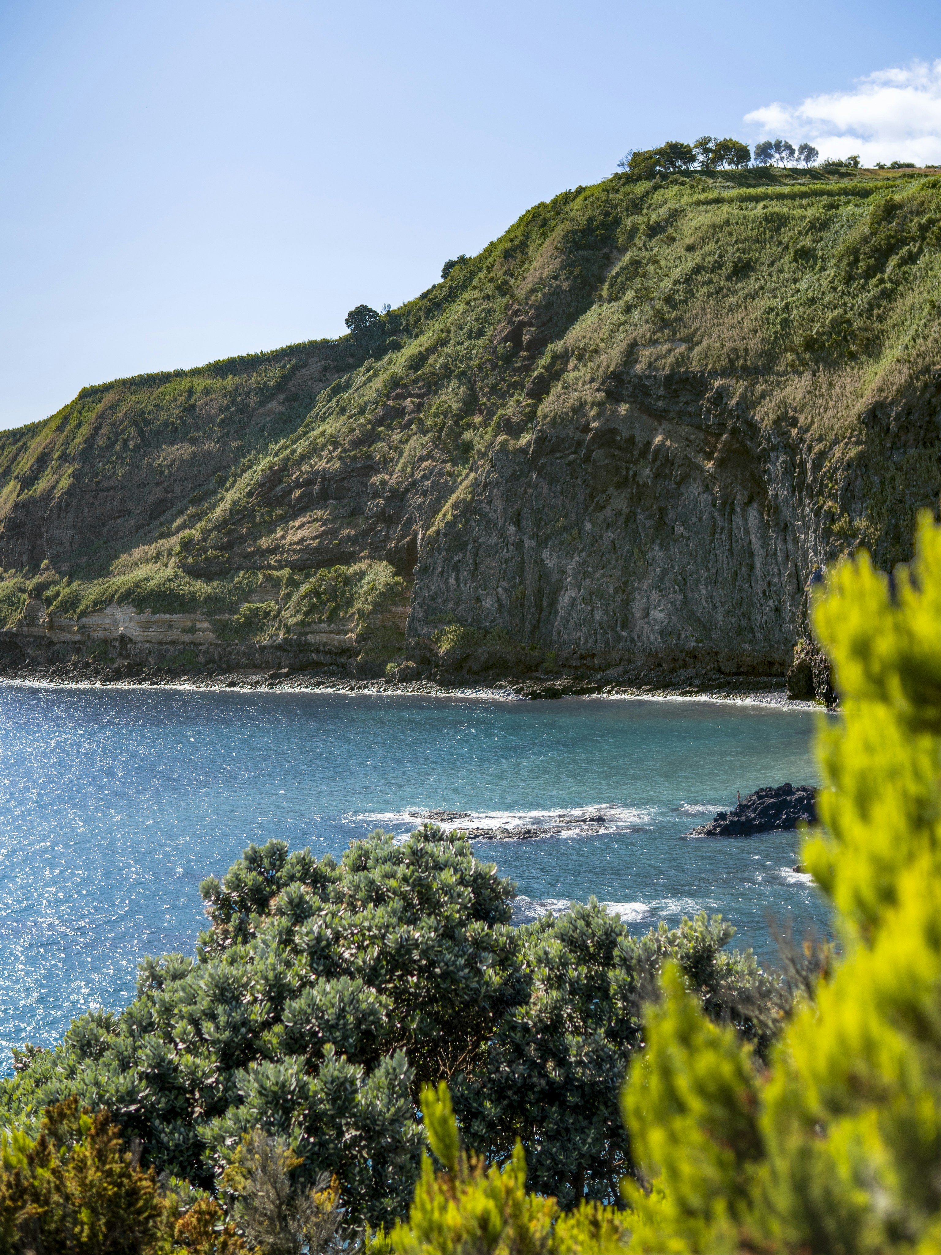 Coastal Serenity: Nature's Embrace