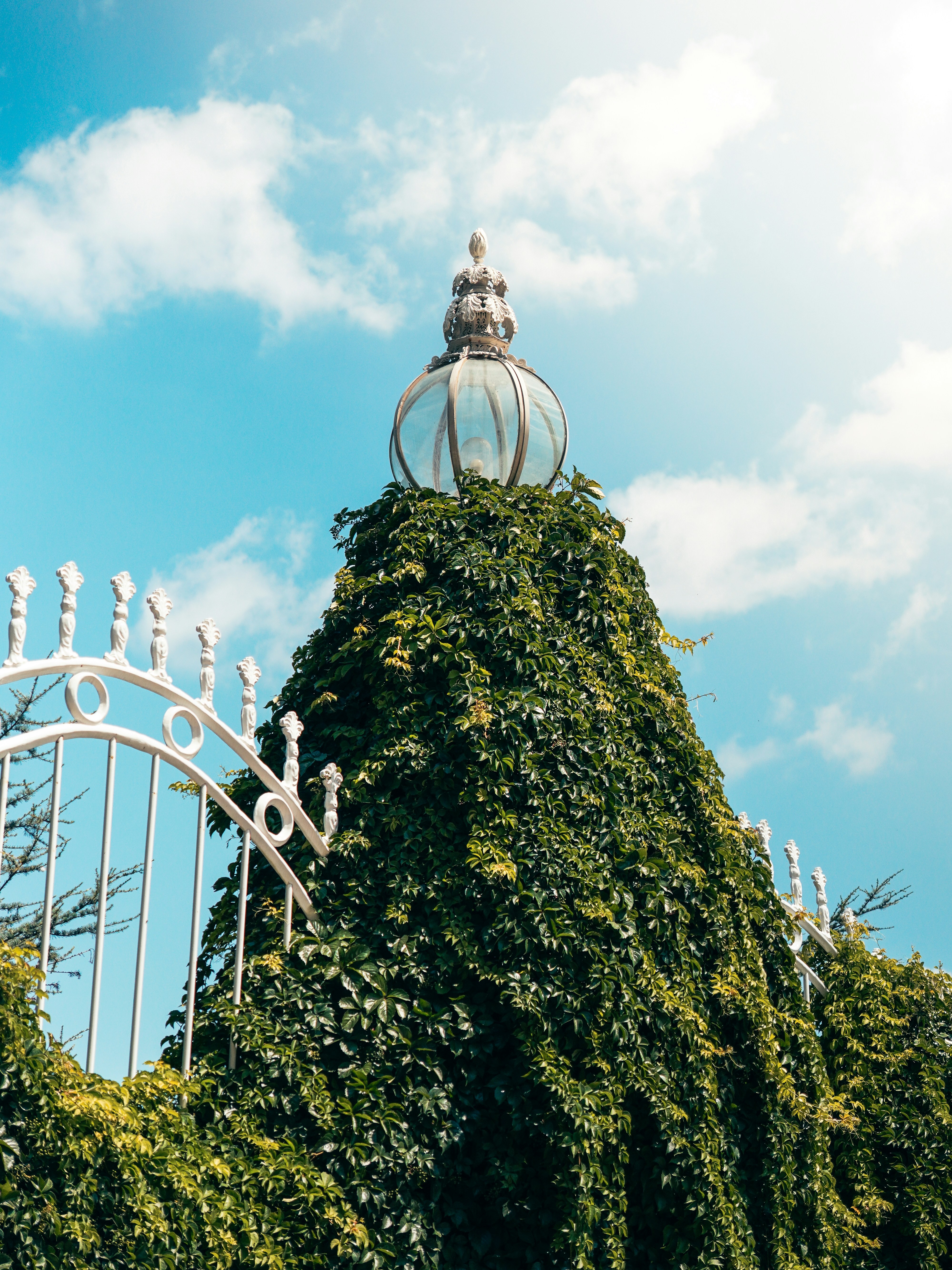Ivy-Crowned Glass Dome Rising Over a Wrought-Iron Gate
