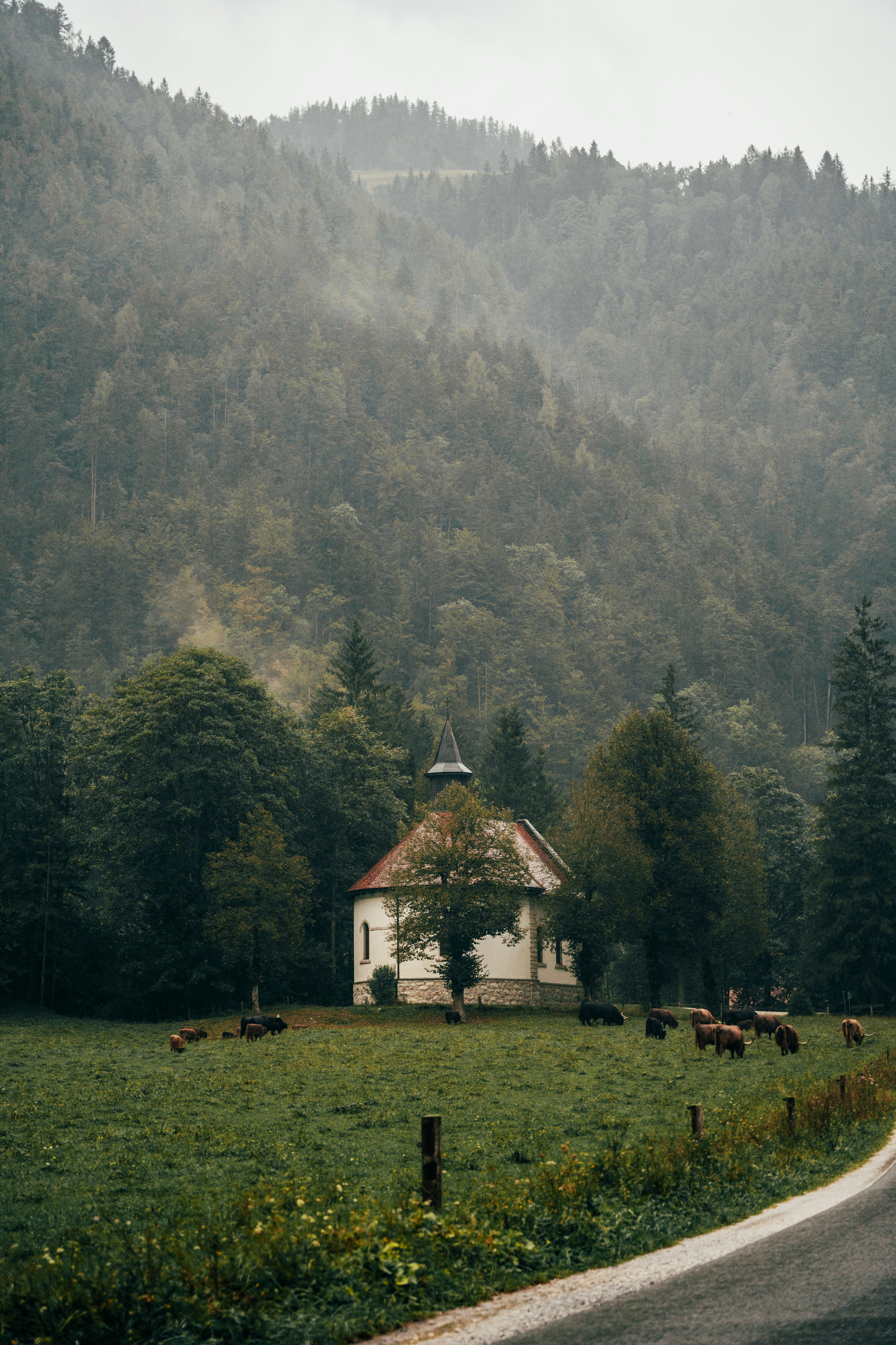 Photo by Lovro Pavličić with Sony Alpha 7 IV