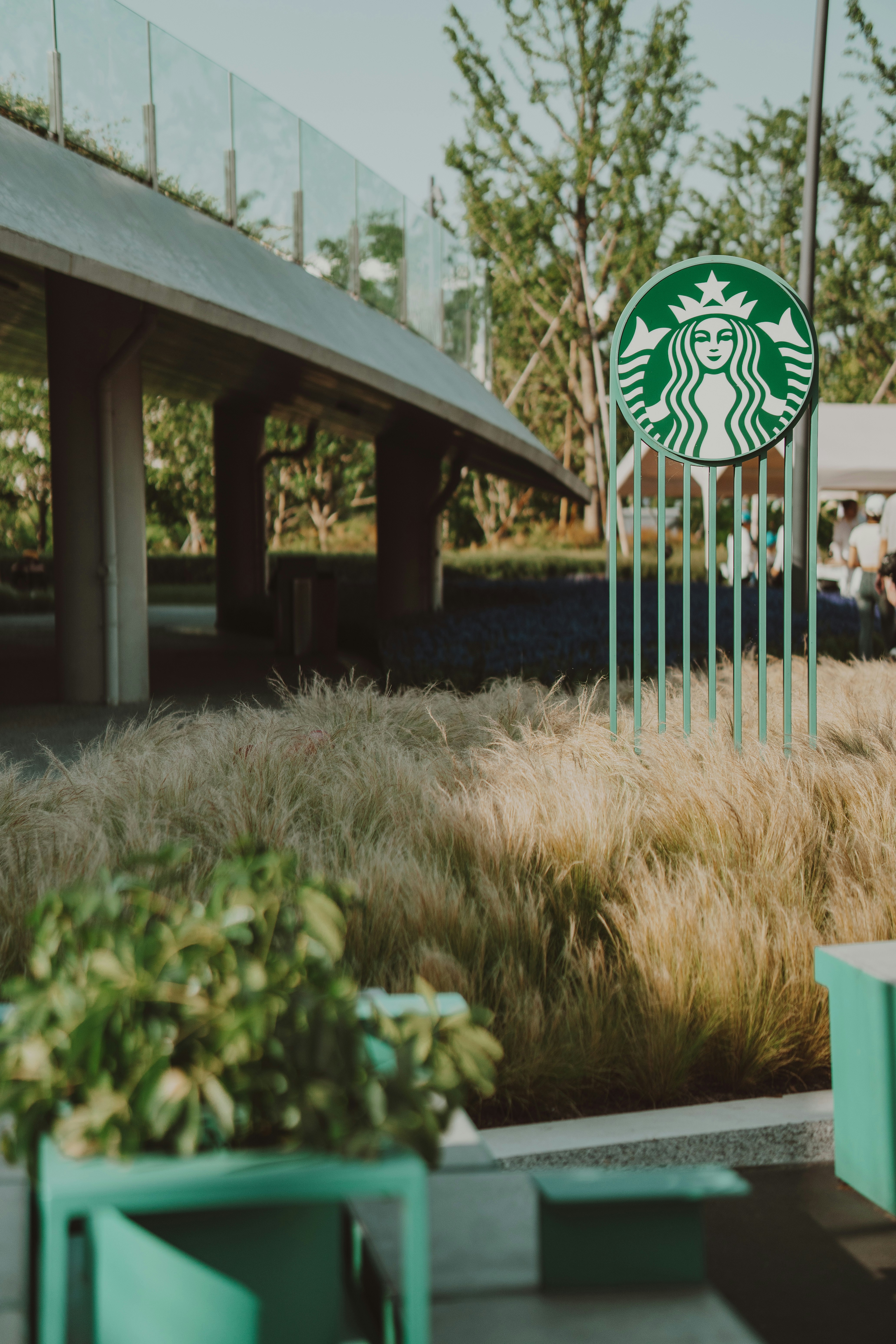 Starbucks Sign Emerges Amid Curves and Prairie Grass