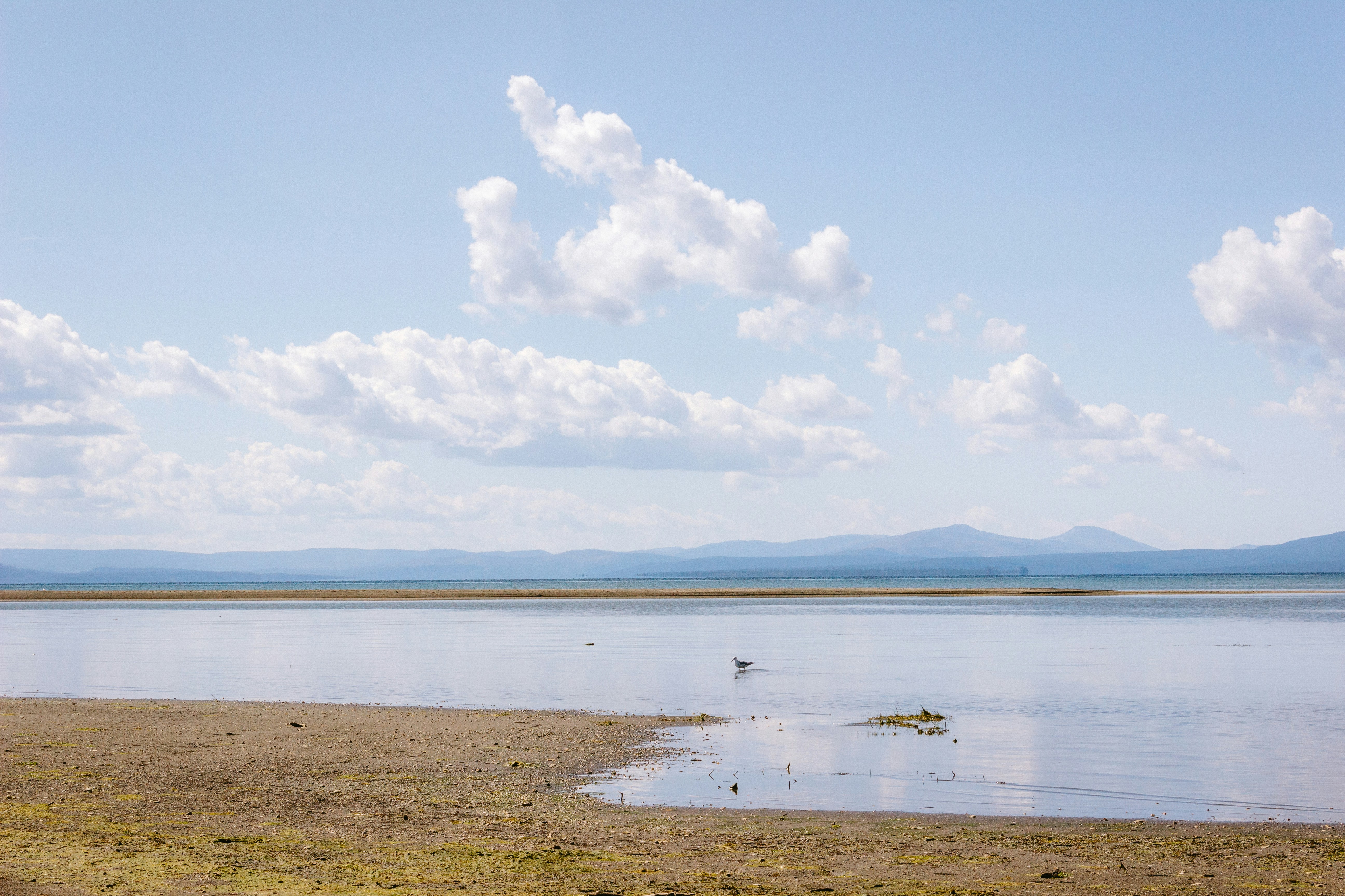 Photo by Charles Marleau with Canon EOS 600D