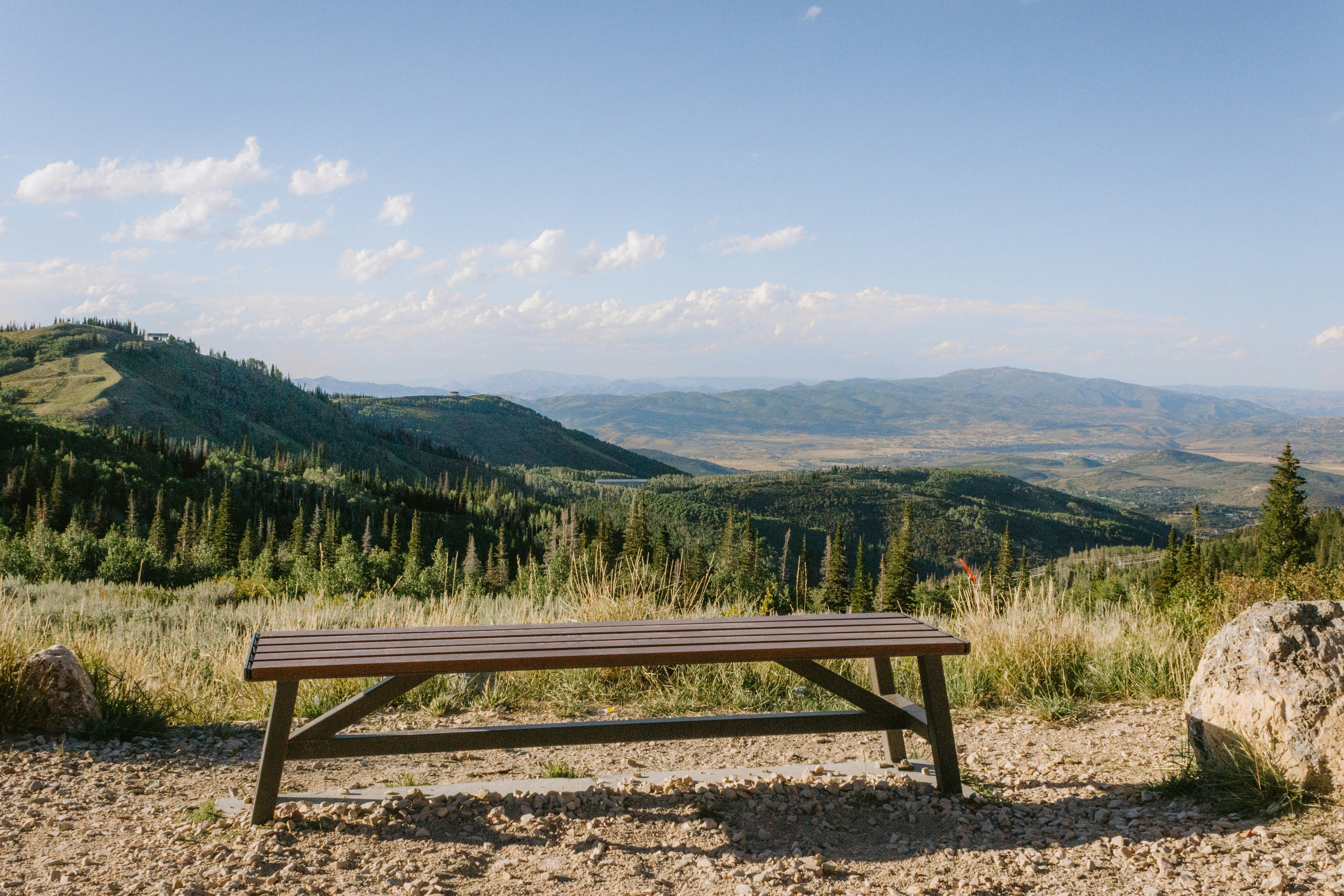 Quiet overlook: a rustic bench gazing over rolling hills