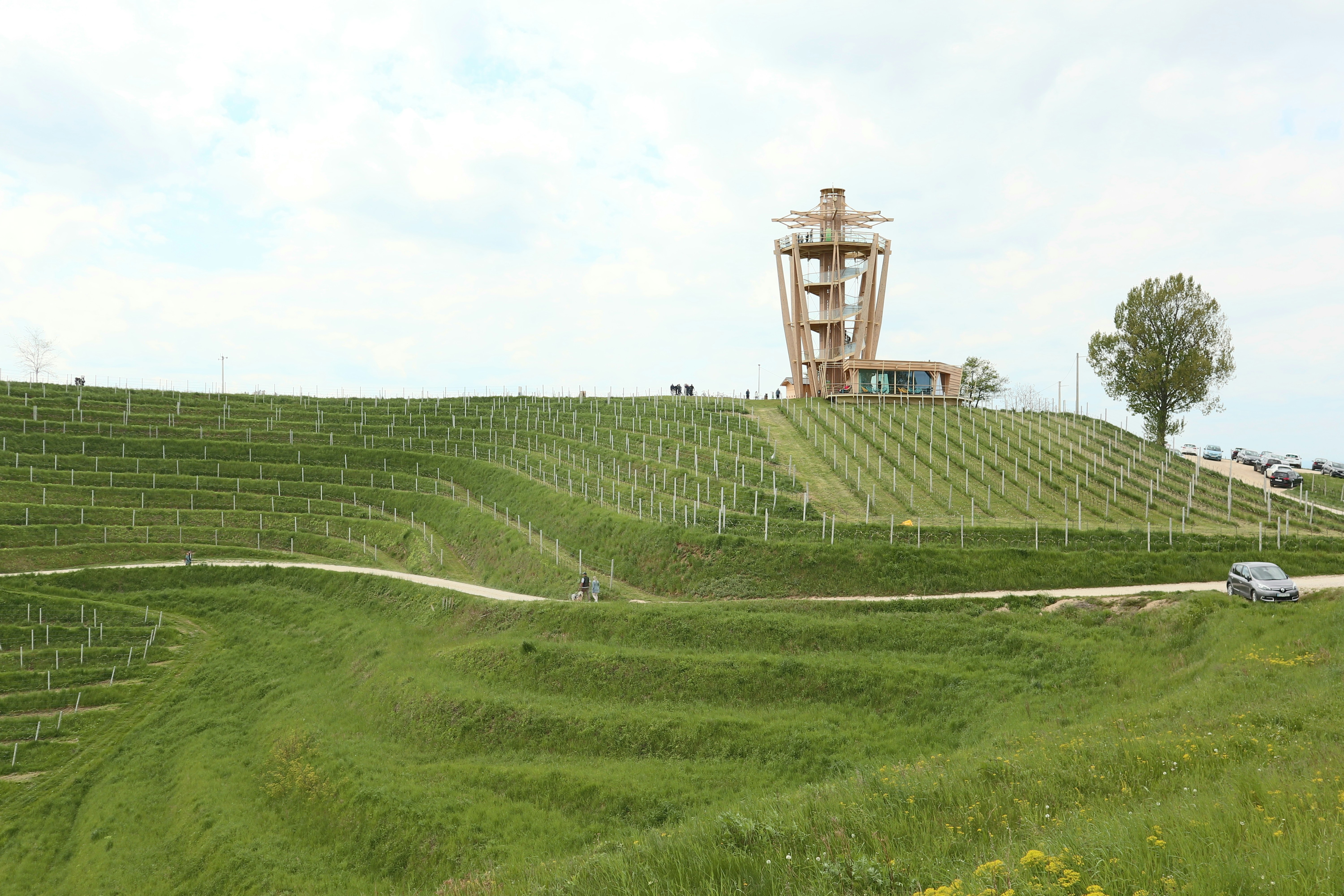 Timber Tower Over Verdant Terraces