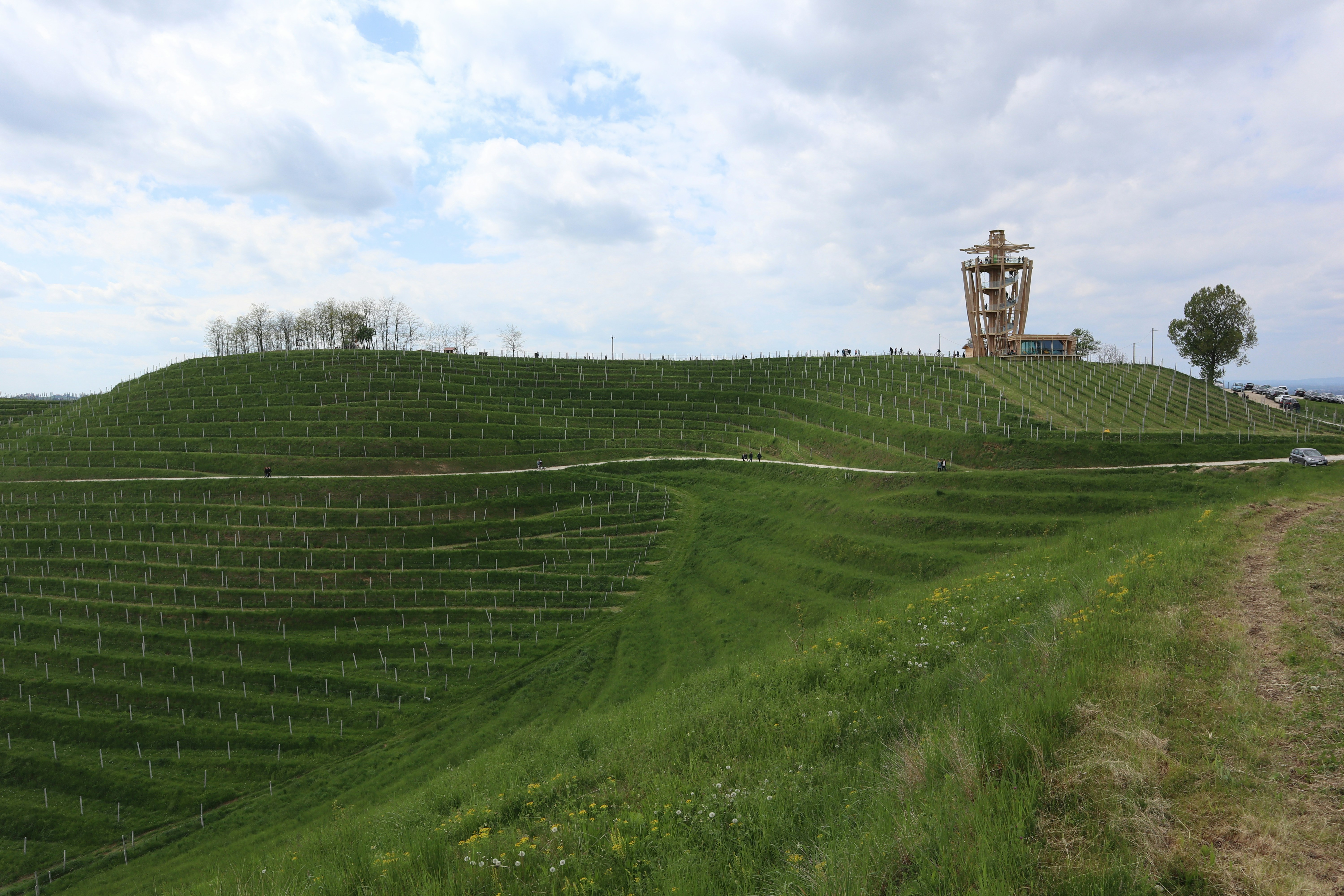 Terraced Vineyard Staircase Under a Timber Watchtower