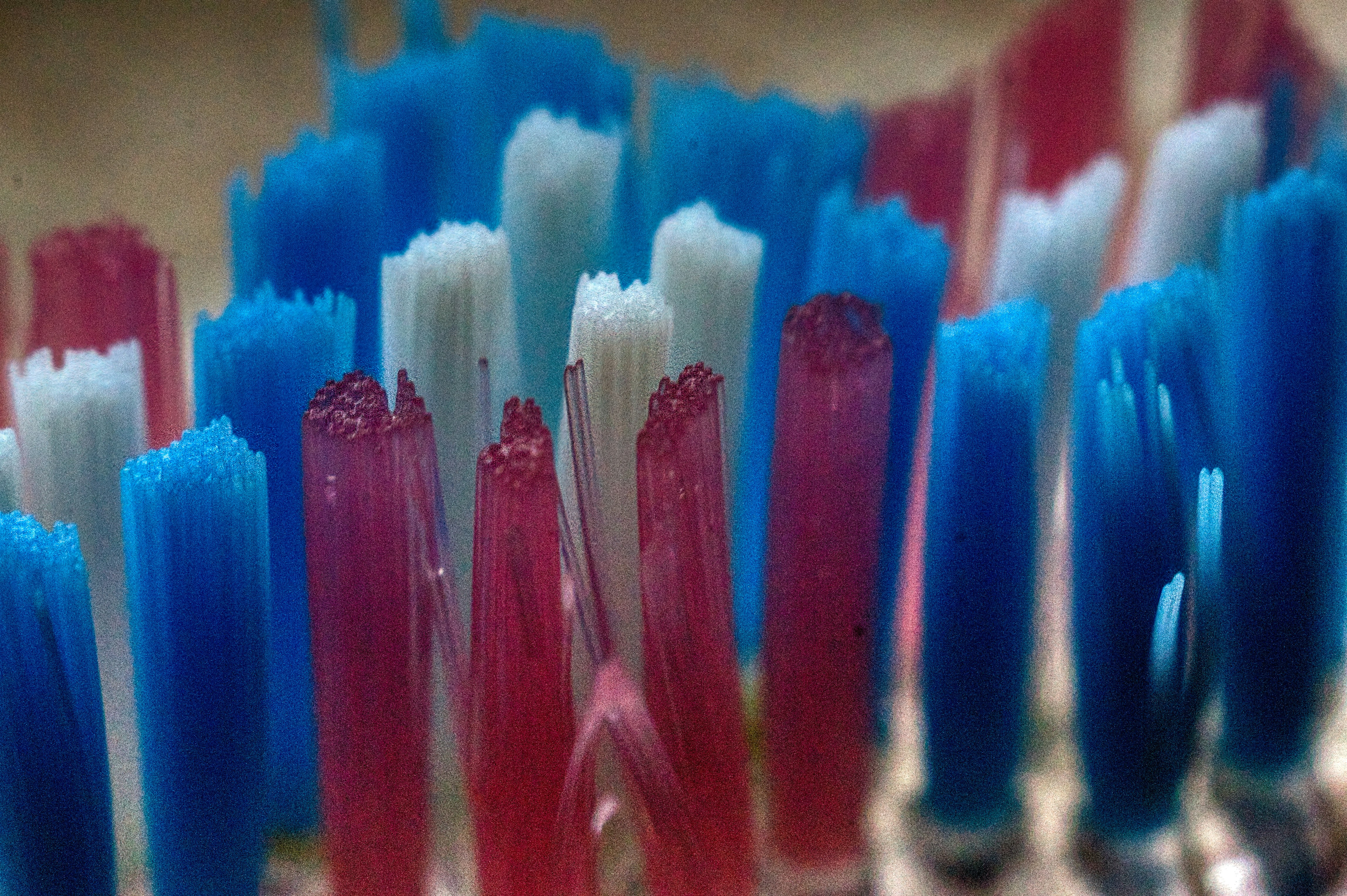 A group of toothbrushes lined up in a row photo – Free Human Image on ...