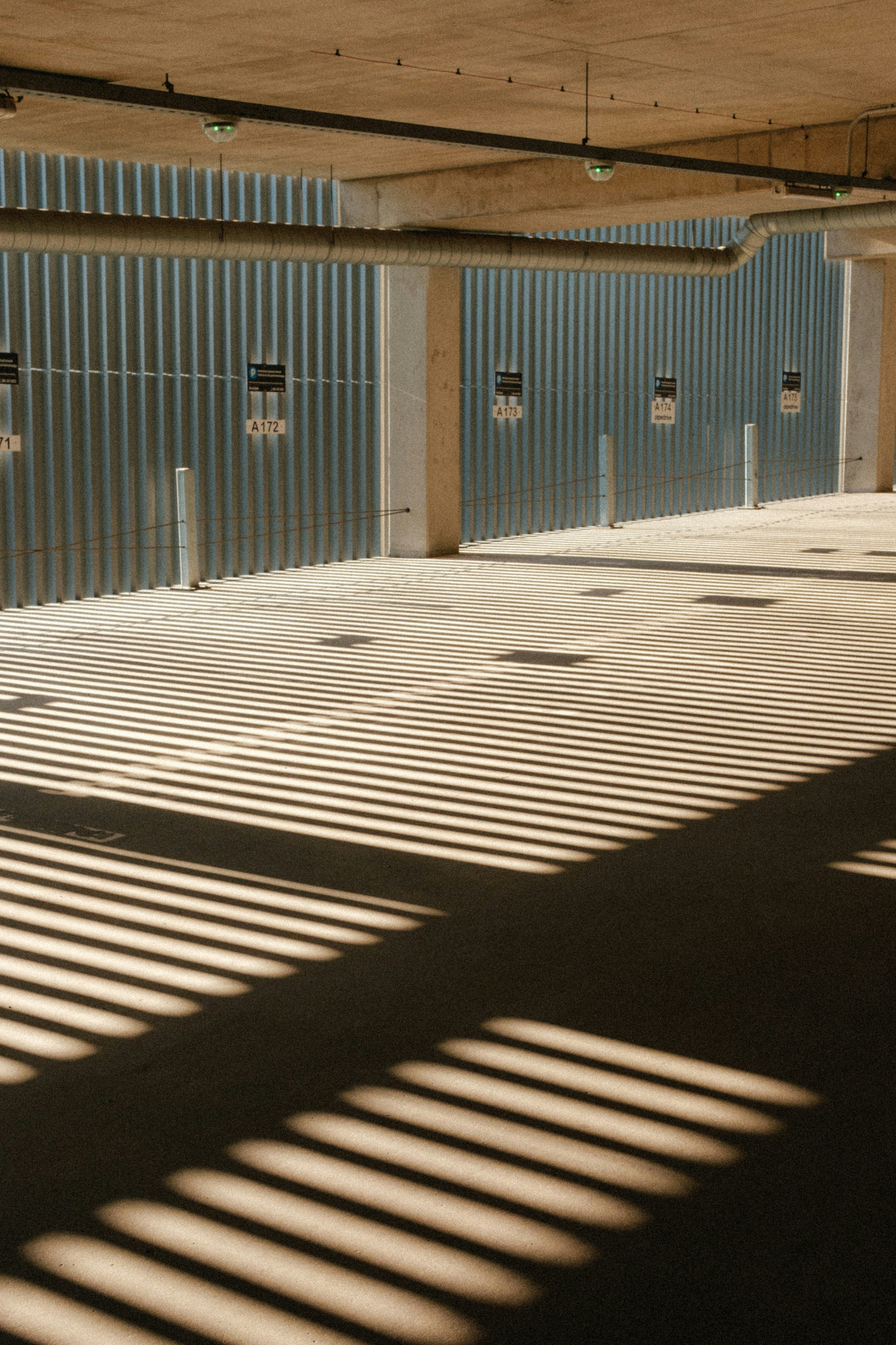 Photo by Genet Schneider with Fujifilm X-H2S