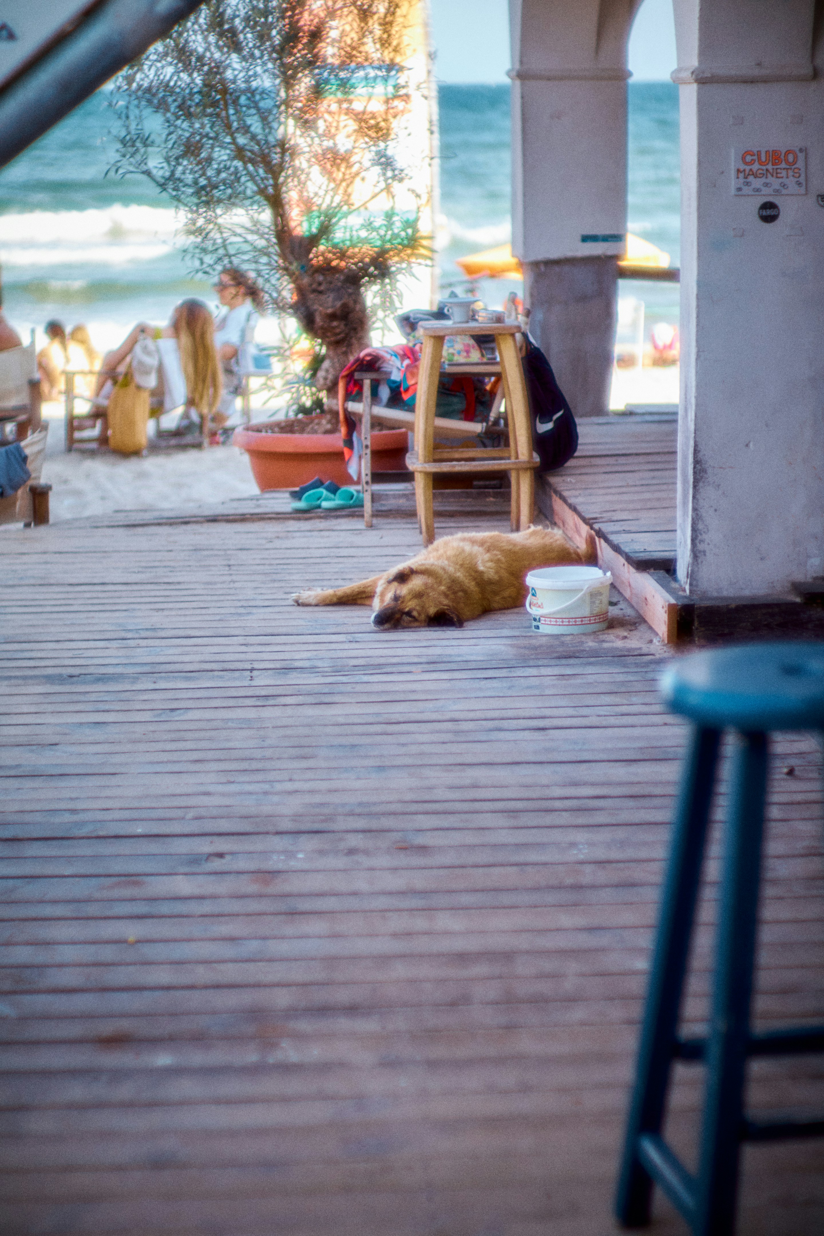 Lazy Afternoon by the Sea
