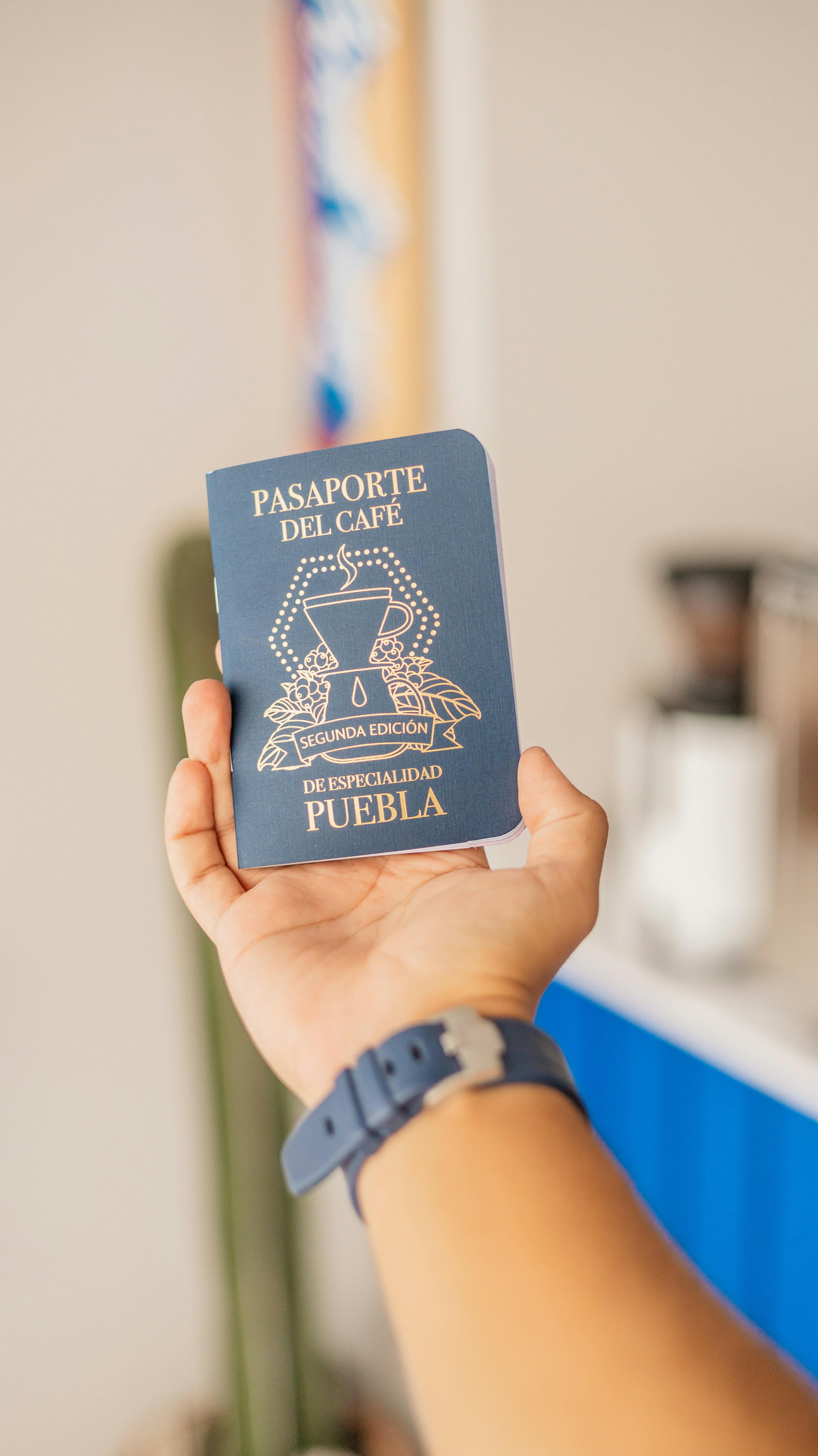 Passport of Café Mystery: A Closer Look at a Blue Travel Document