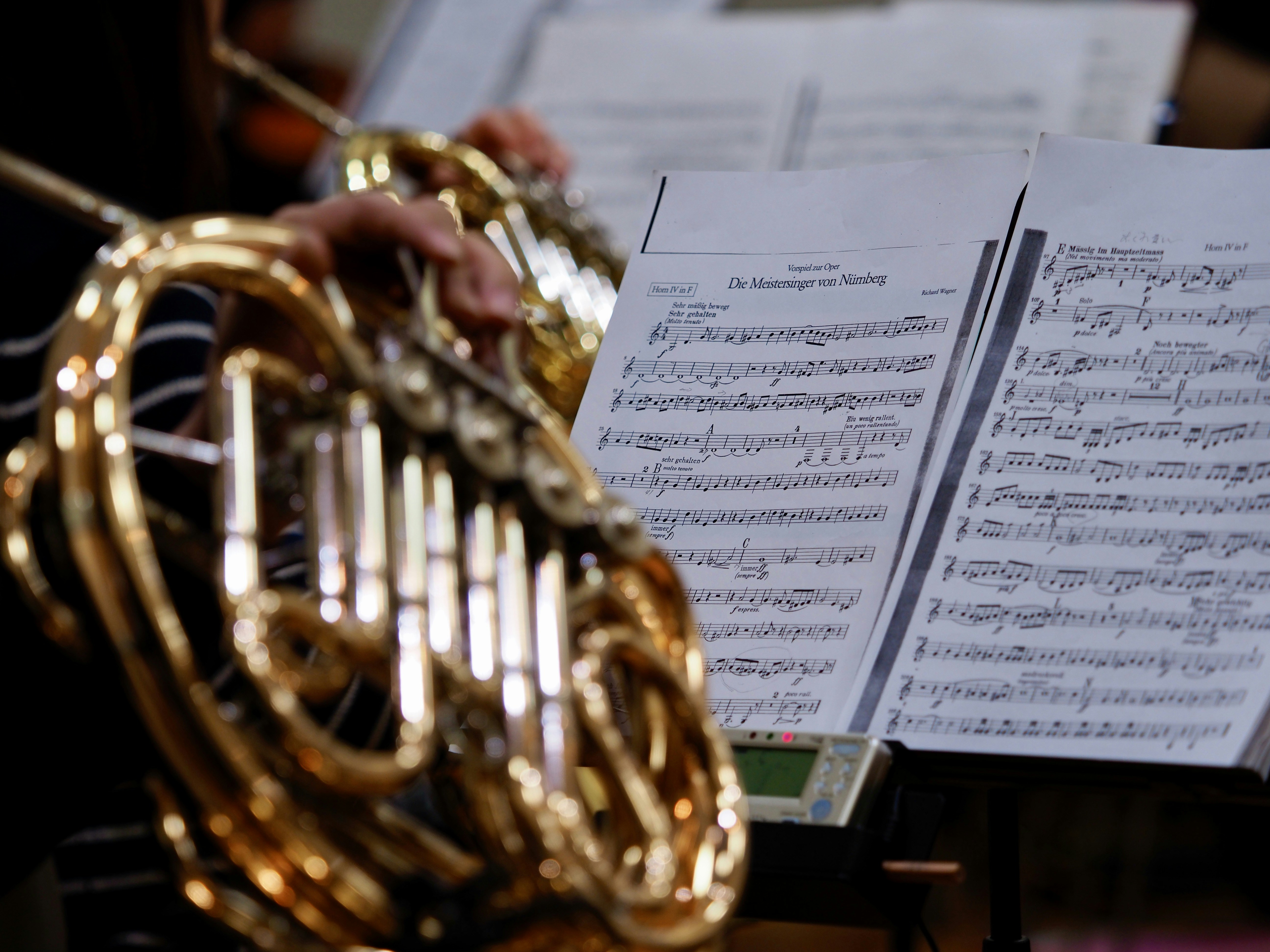 Un primer plano de una persona tocando un instrumento musical foto ...