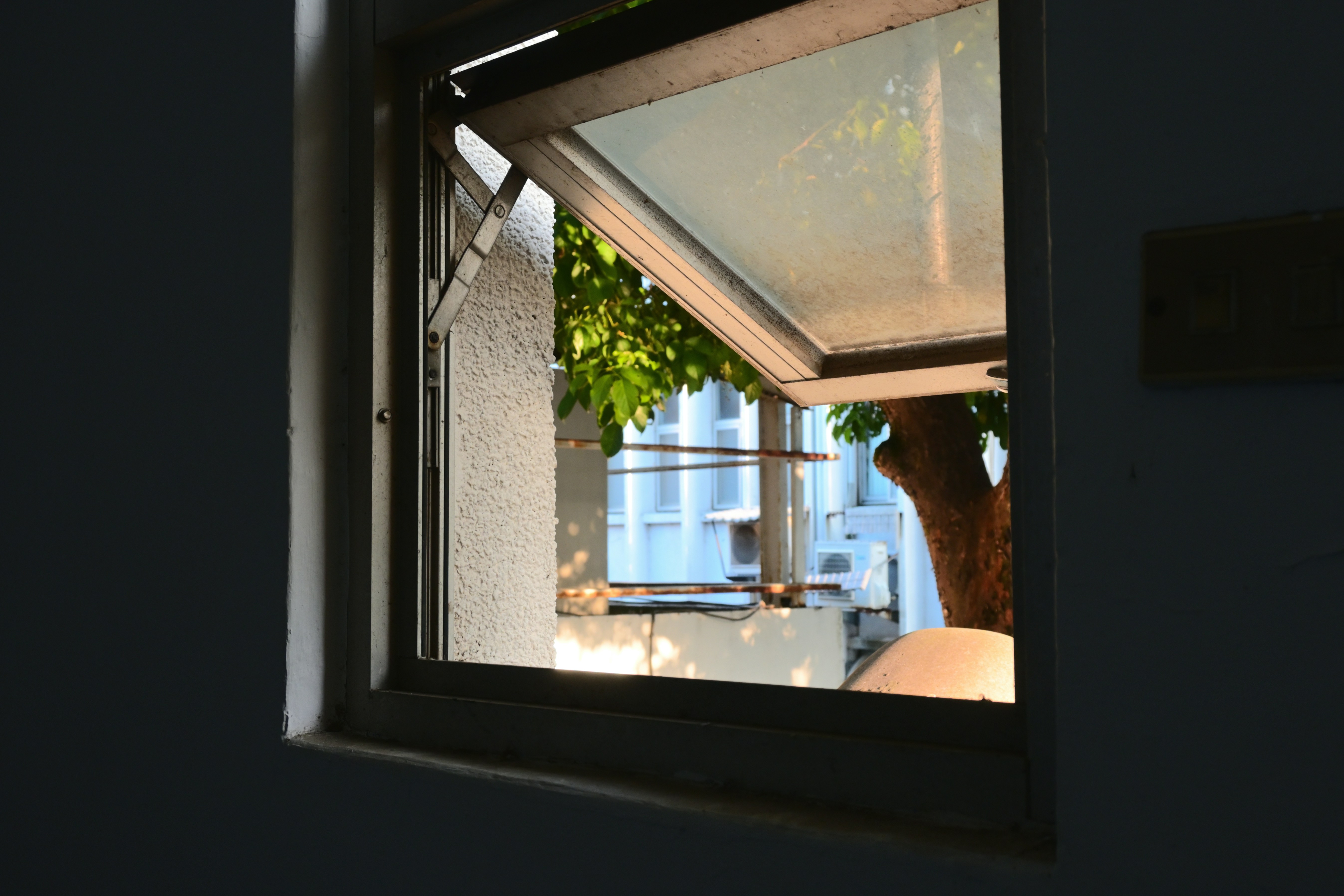 A view of a tree through a window photo – Free Window Image on Unsplash