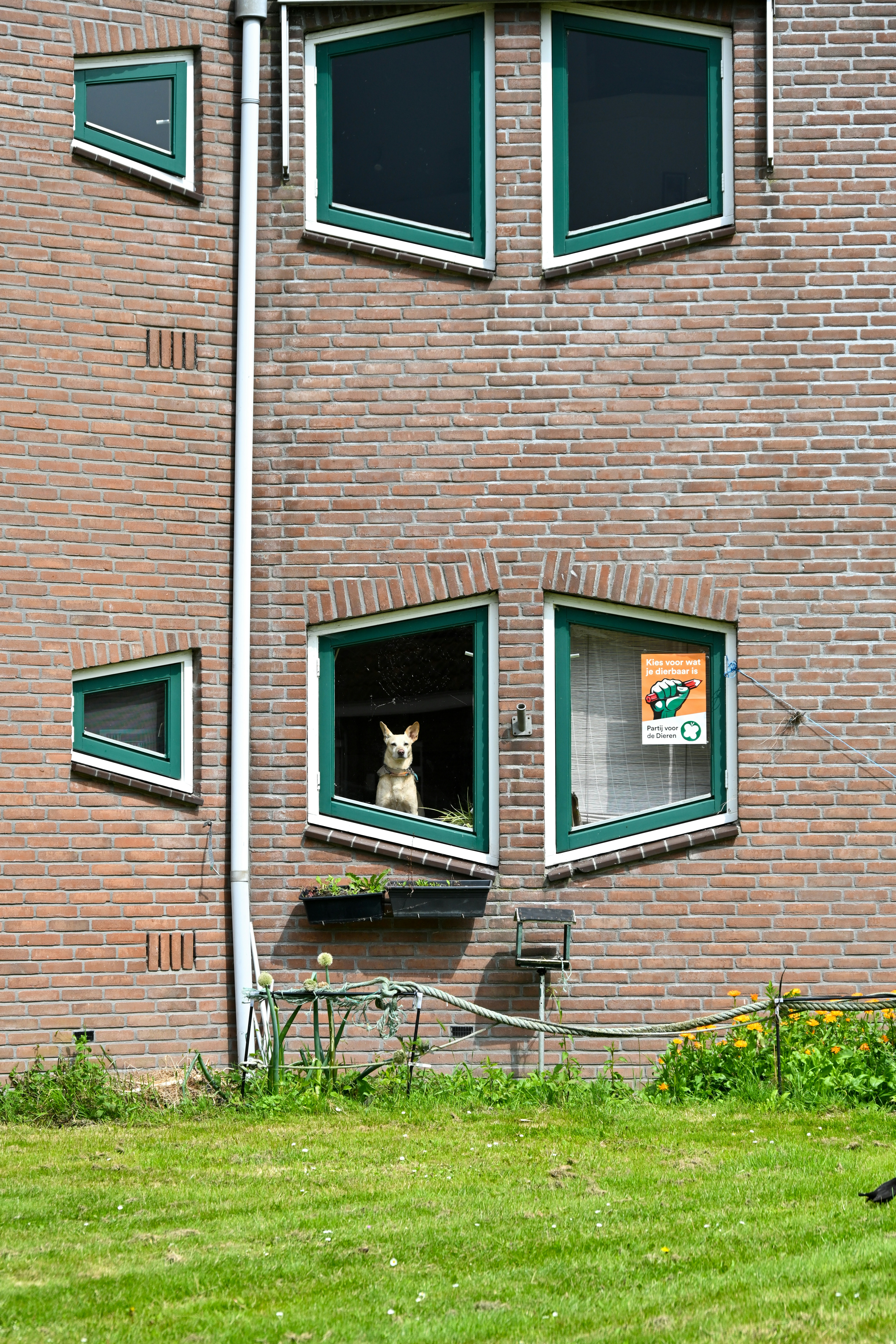 Photo by Ben Michel with Nikon Z7 II