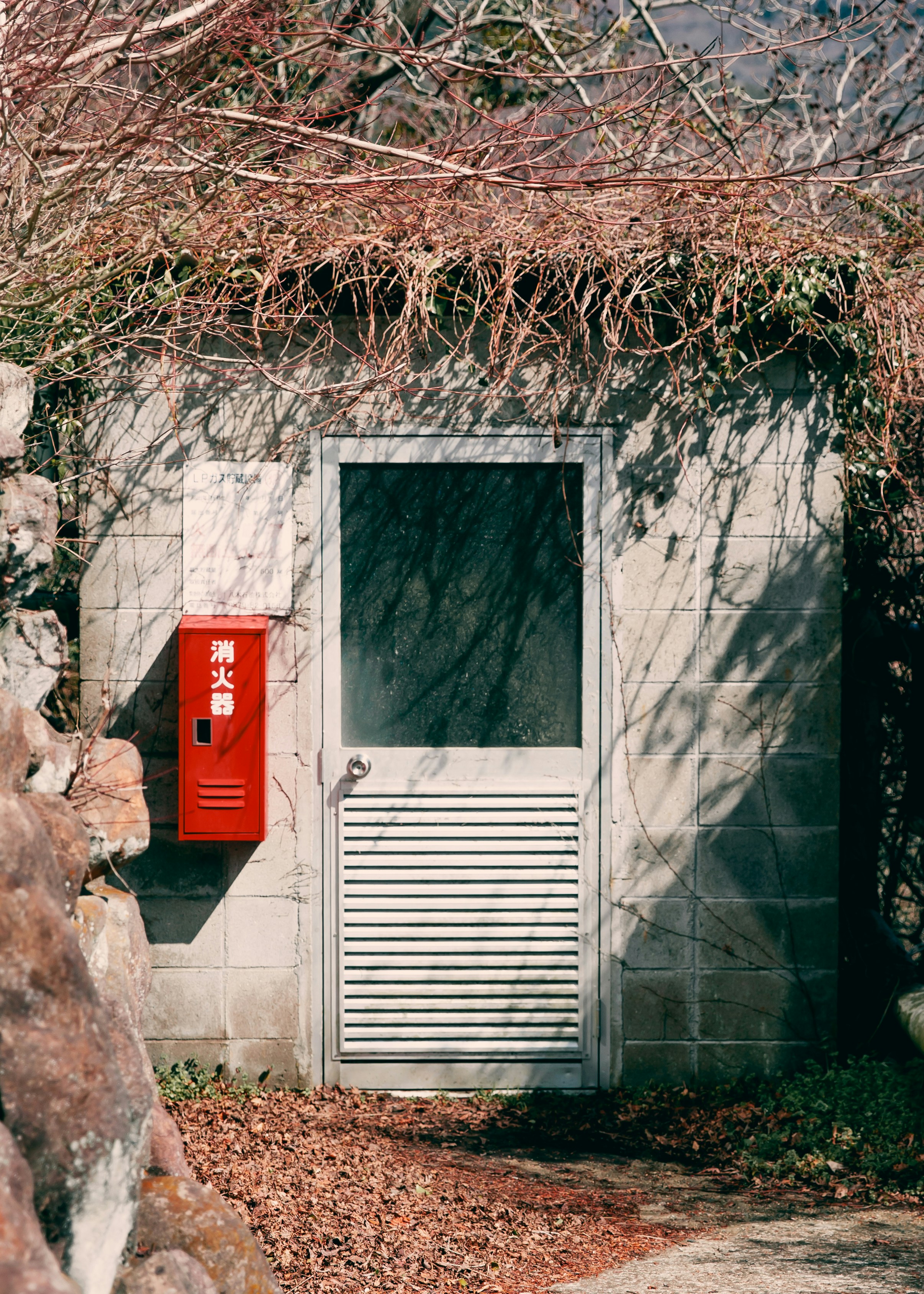 Vine-Draped Doorway Framed by a Scarlet Fire Box