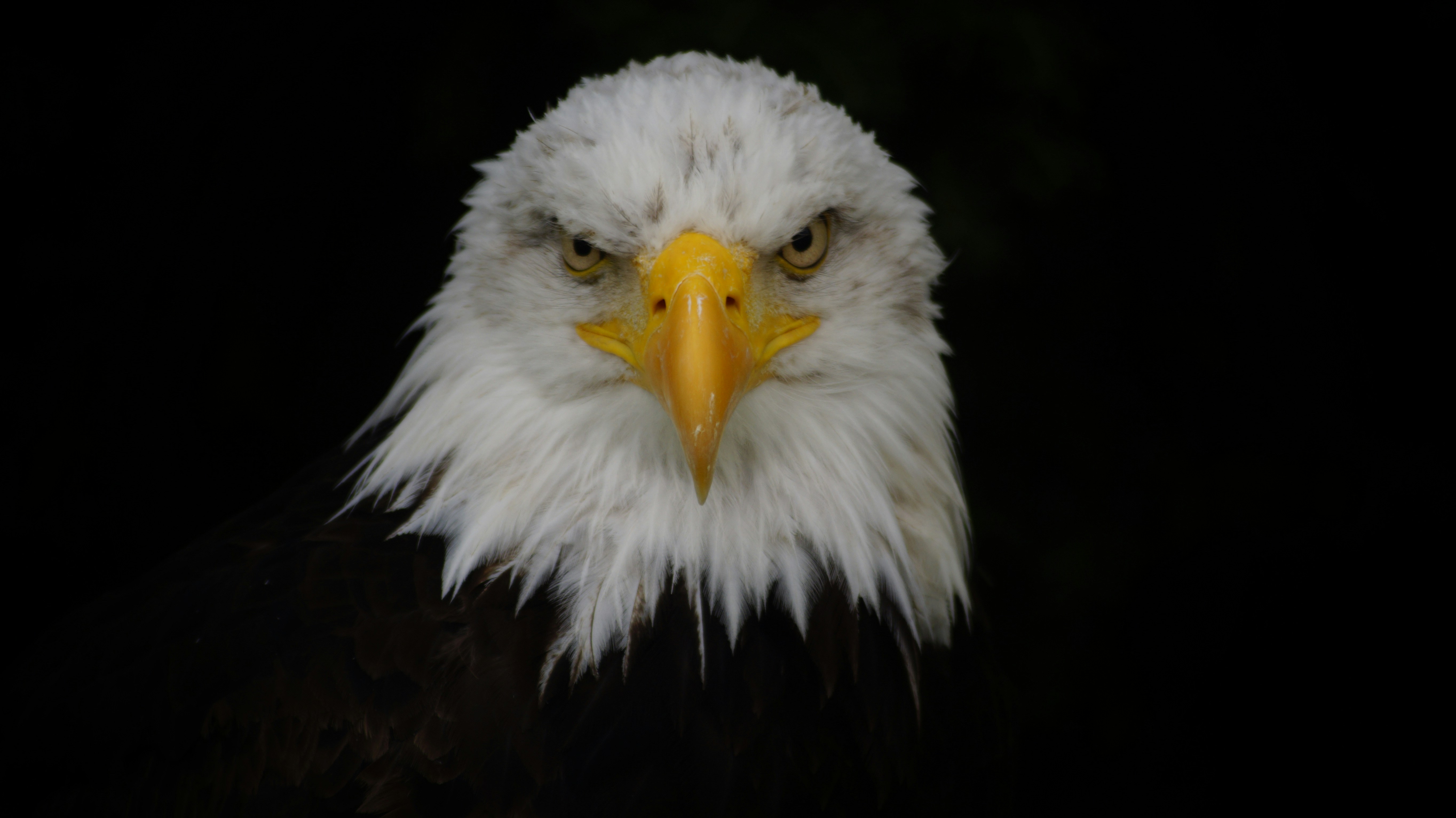 Photo by Mathew Antony with Sony Alpha 58