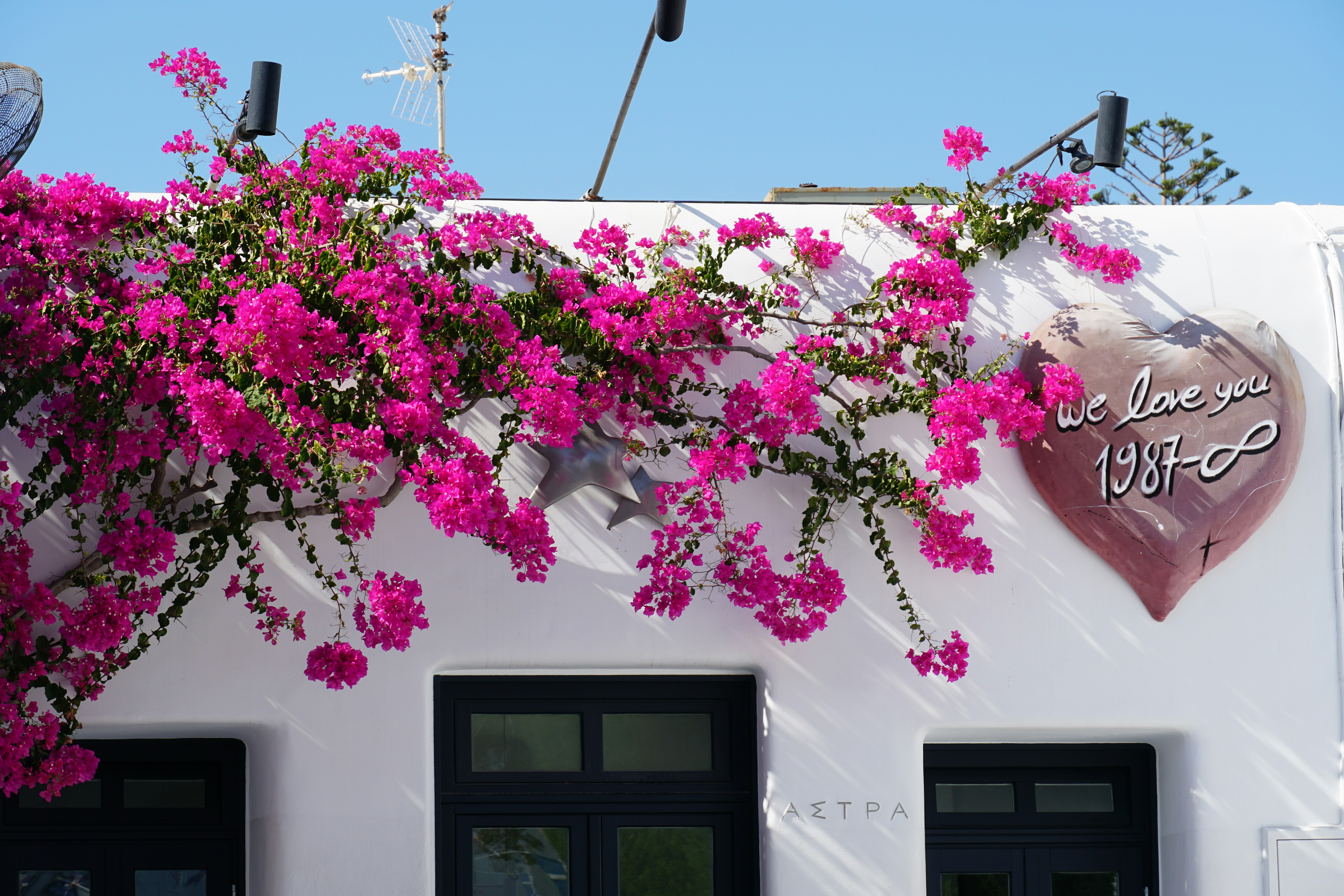 Love on a White Facade: Pink Bougainvillea Framing a Heart