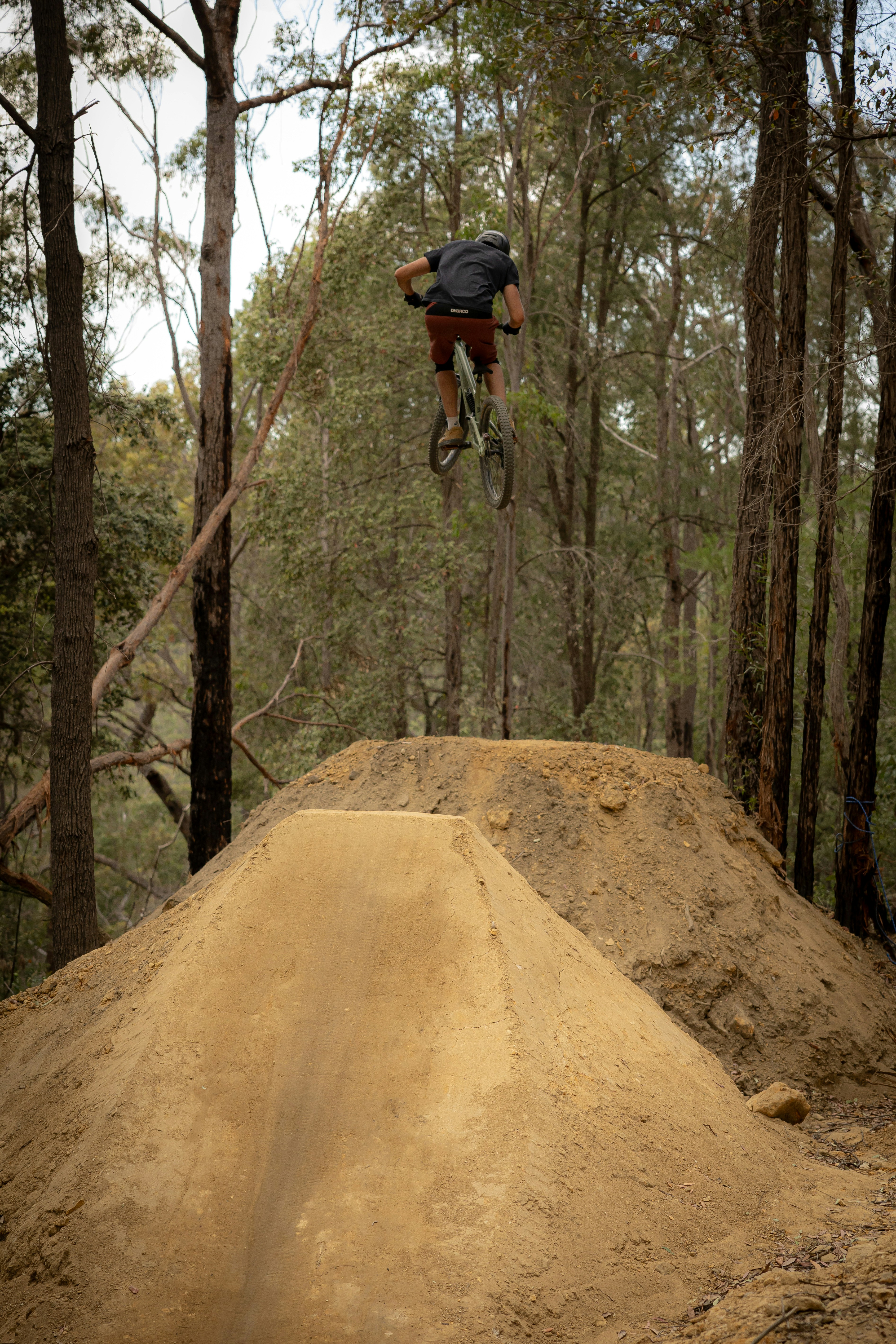 Midair Redirect: Rider Cleans the Gap Between Trees