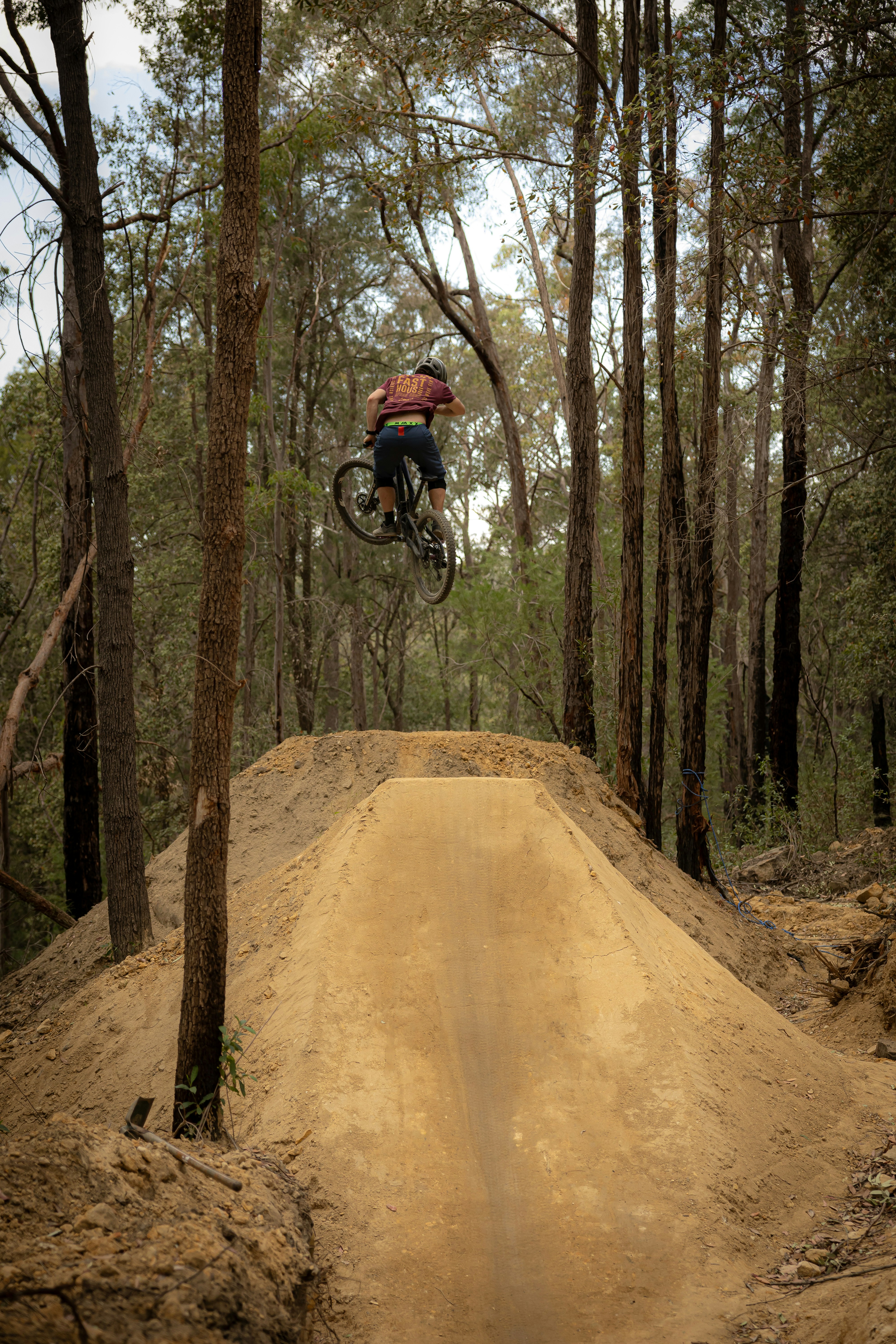 Forest Ramp Leap: Mountain Biker Soars Between Pines