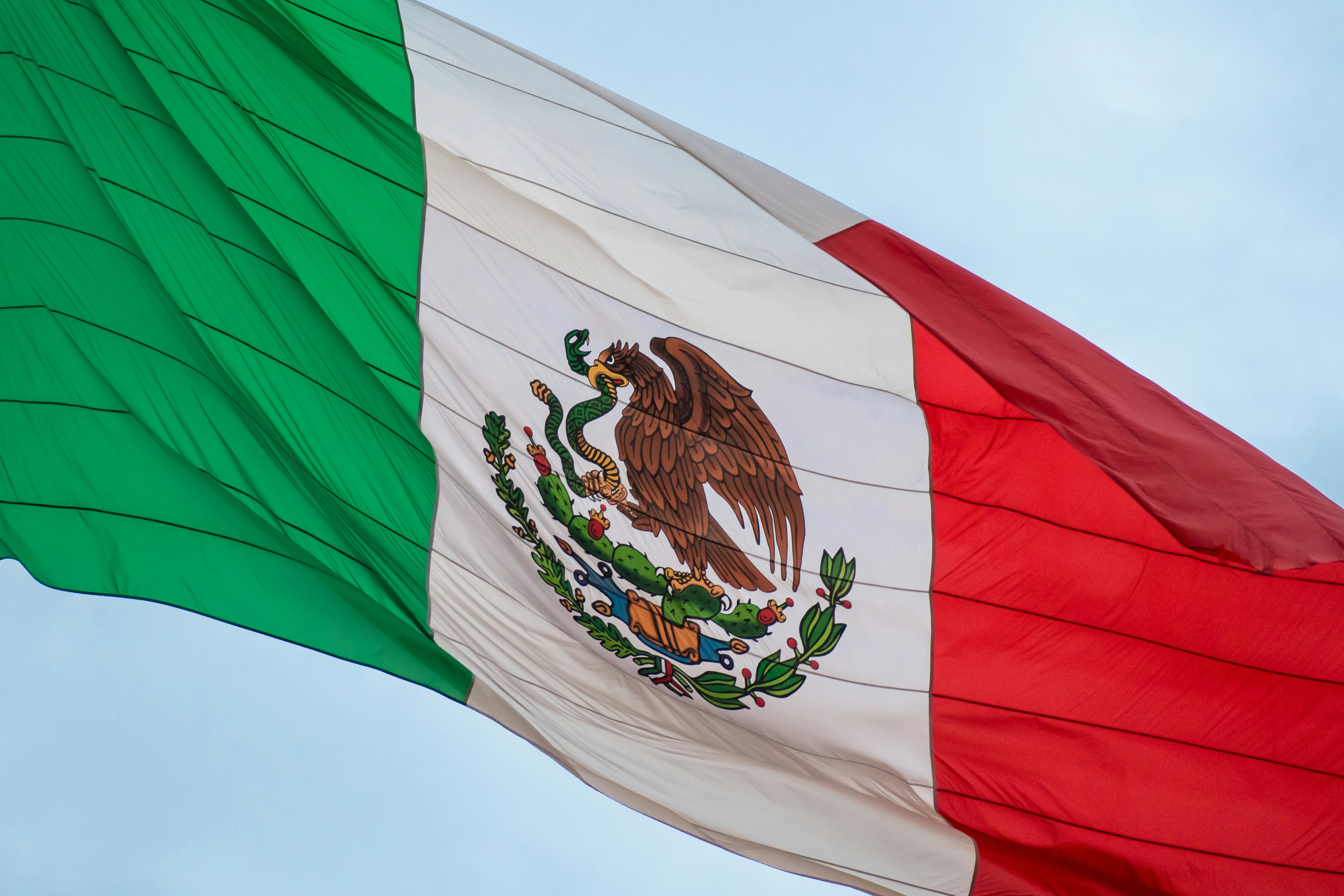 Best Mexican Flag Pictures [HD] | Download Free Images on Unsplash