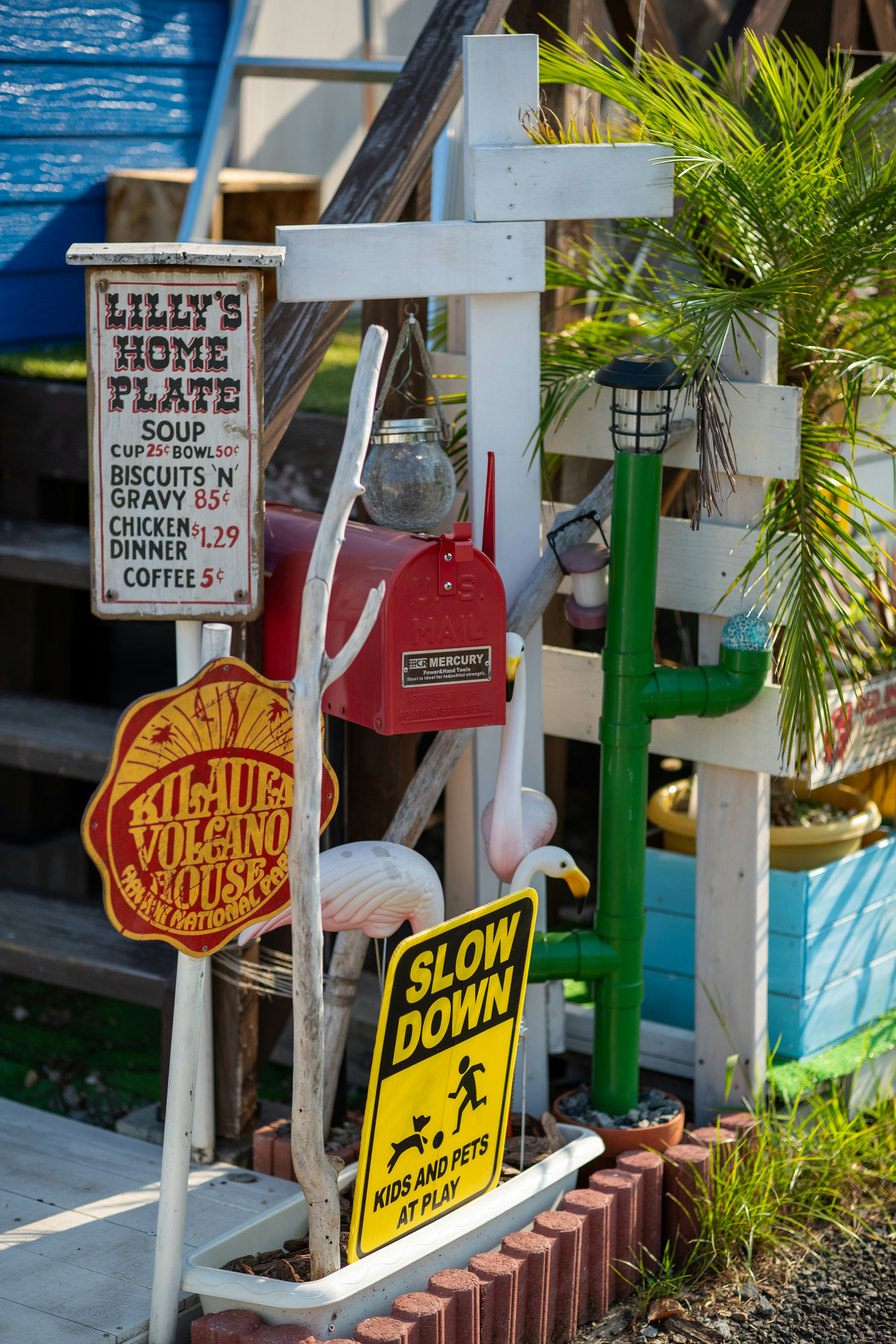 Photo by Kouji Tsuru with Nikon Z6 III