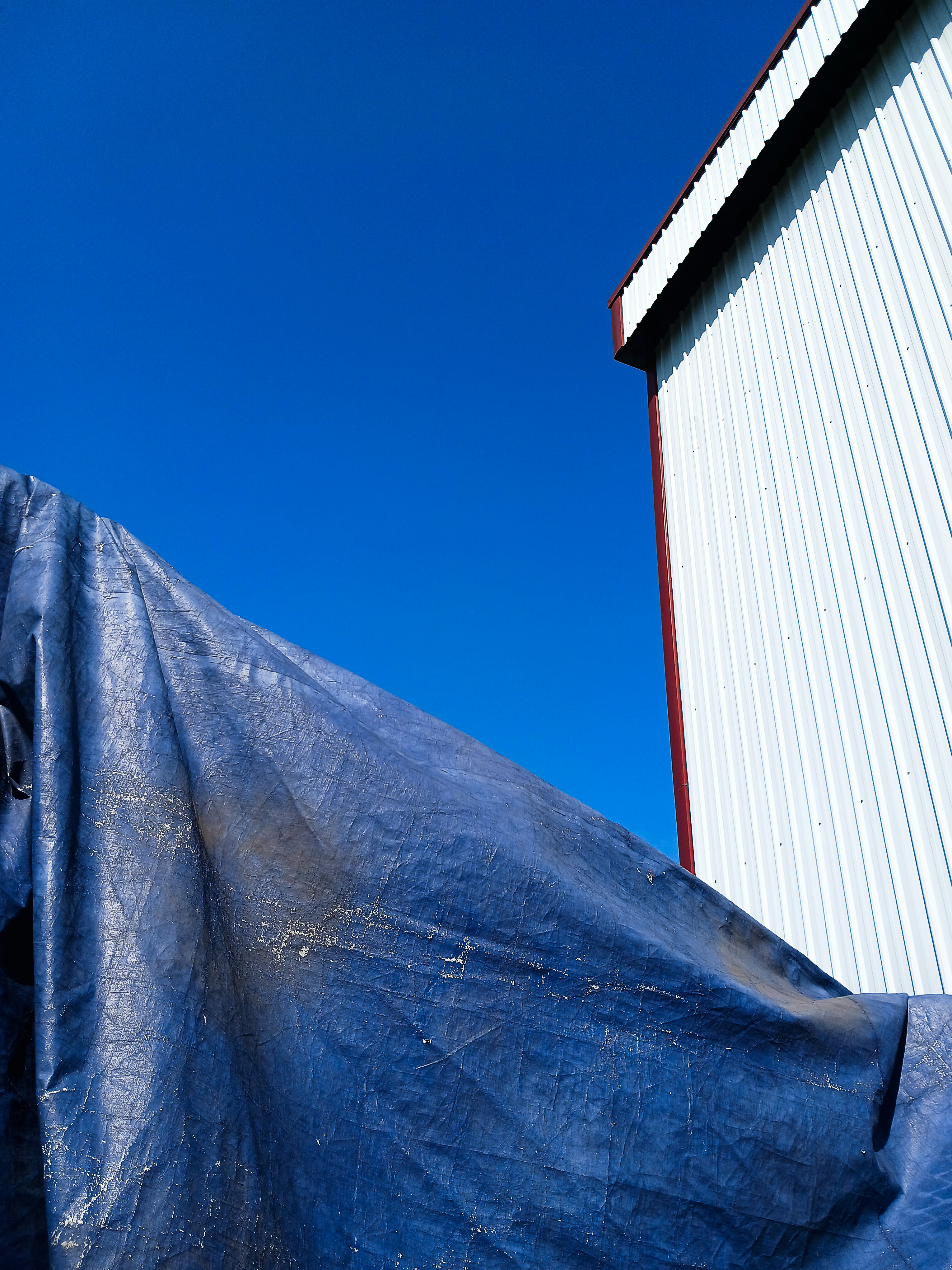 Bright blue sky dominates the upper portion, with a white corrugated metal wall along the right. A wrinkled blue tarp fills the foreground.