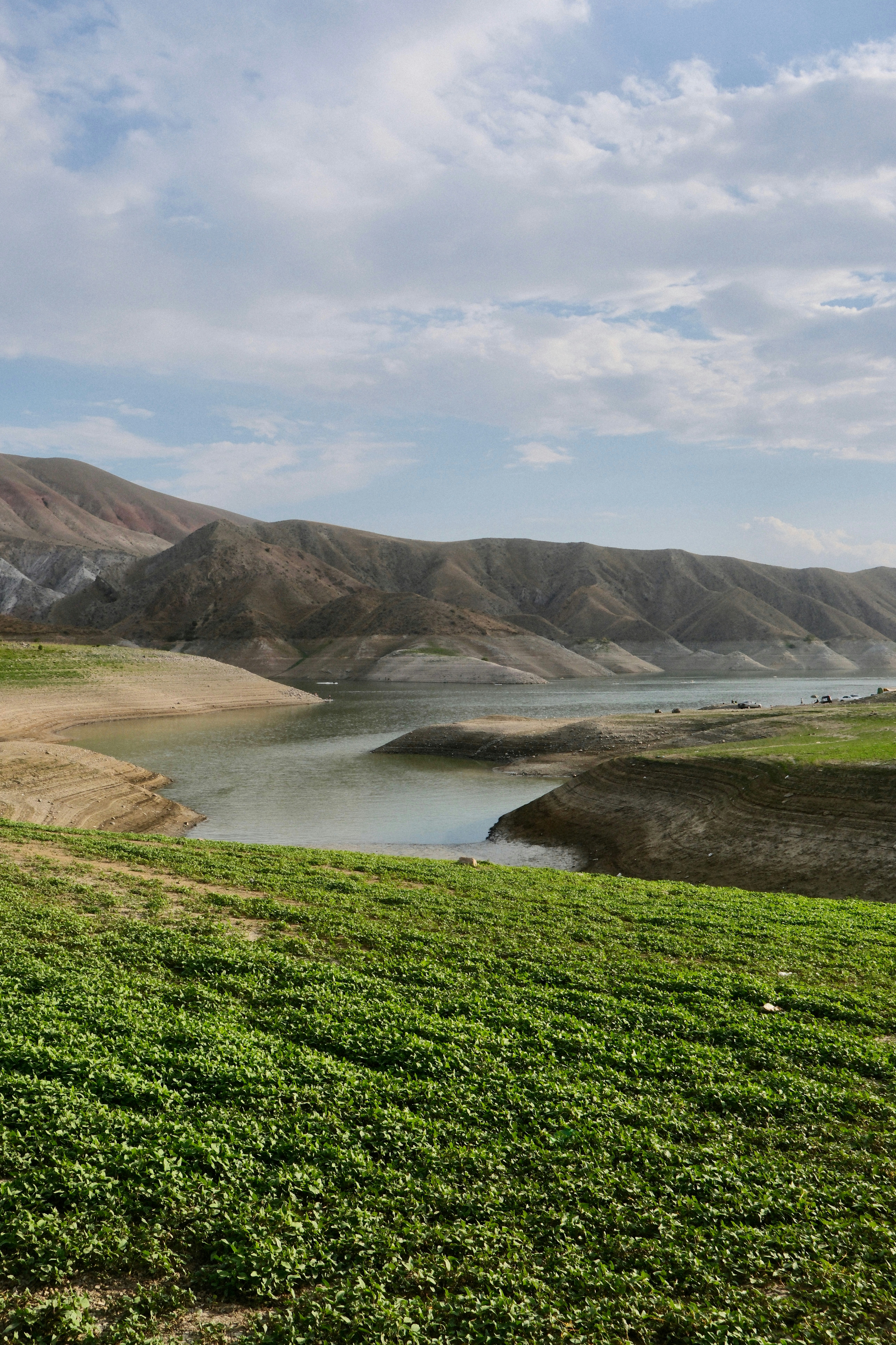 Serenity of the Valley: A Tranquil Waterscape