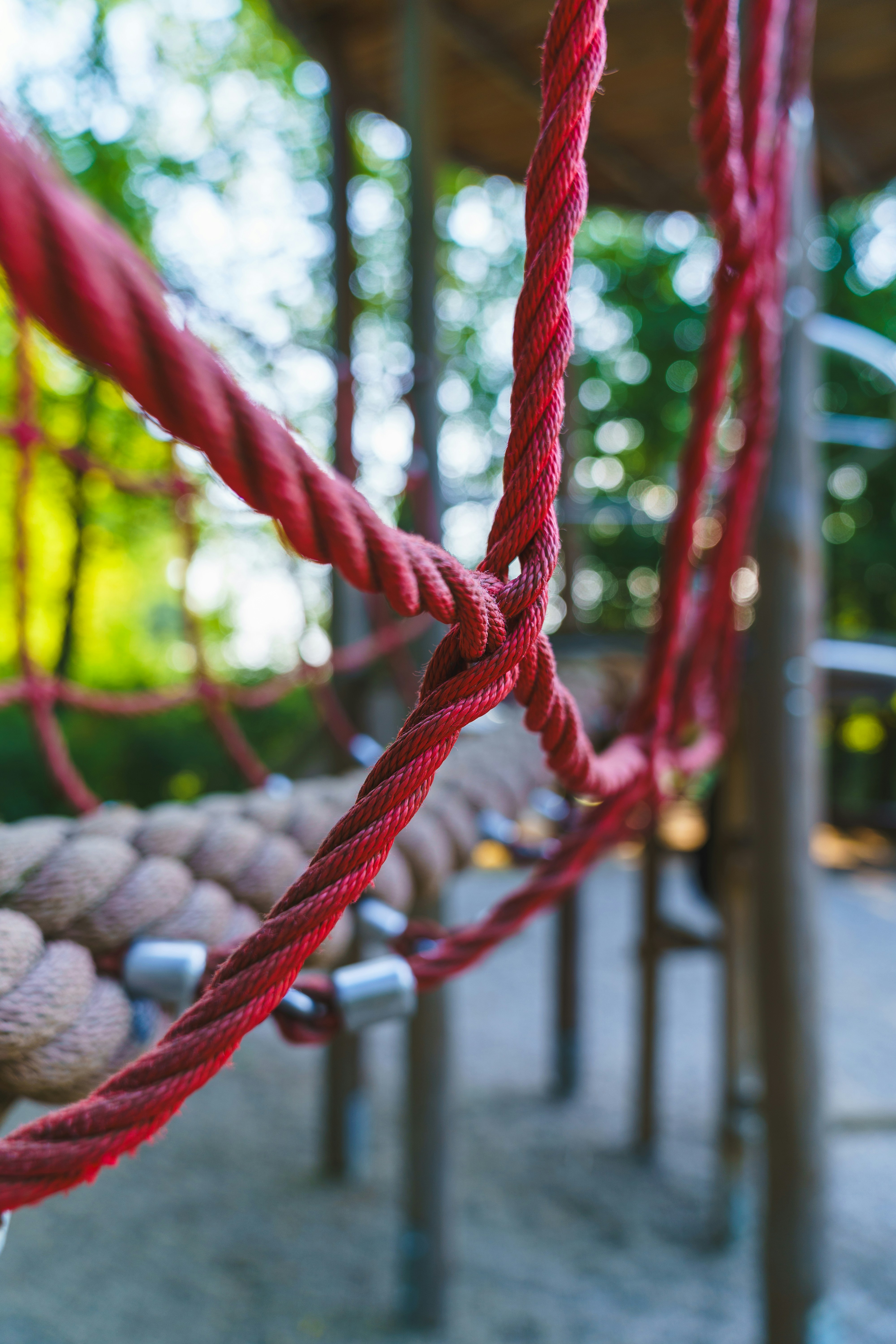 Rope Threads in Focus: A Playful Playground of Red Lines