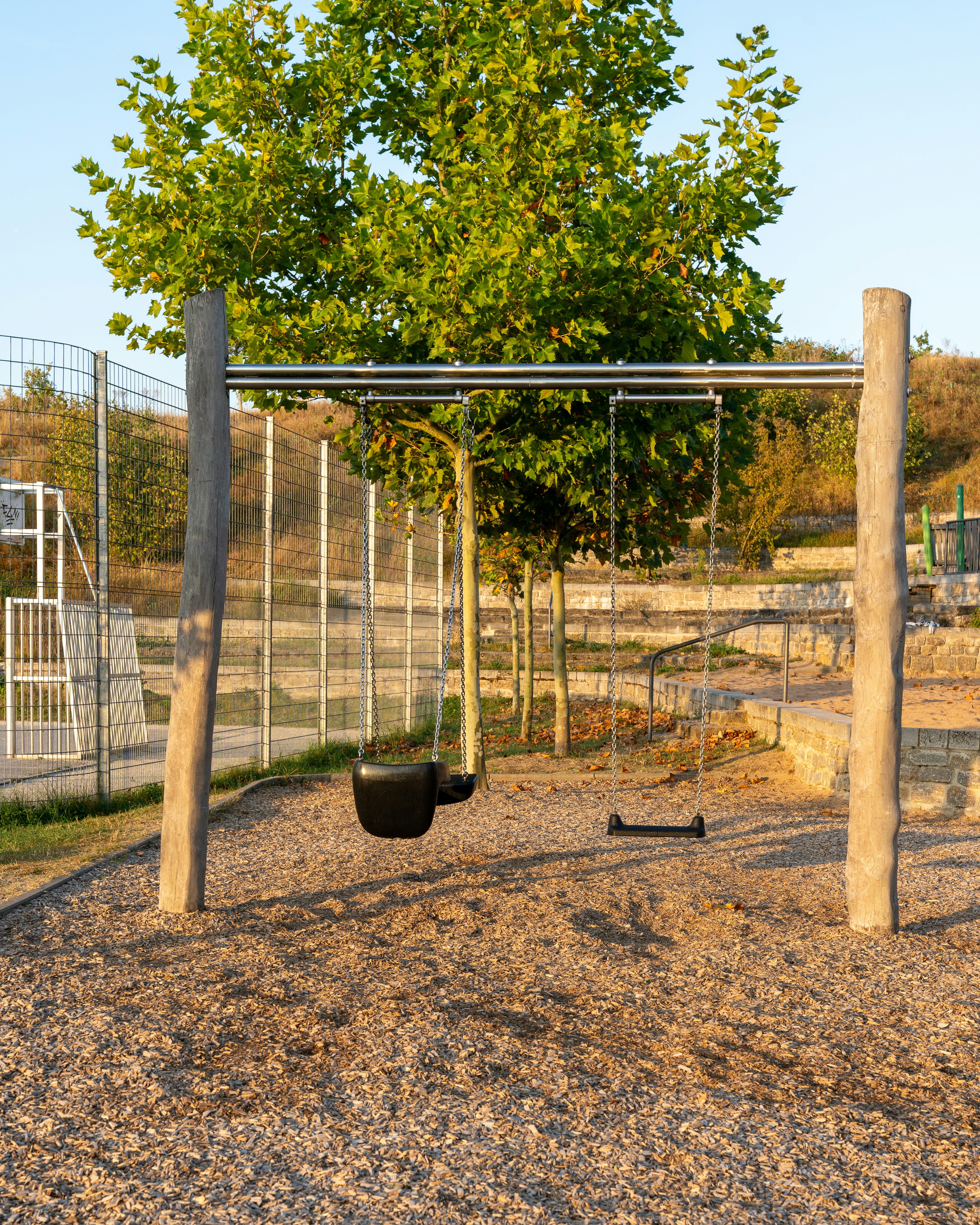 Lone Tire Swing Framed by Warm Afternoon Light