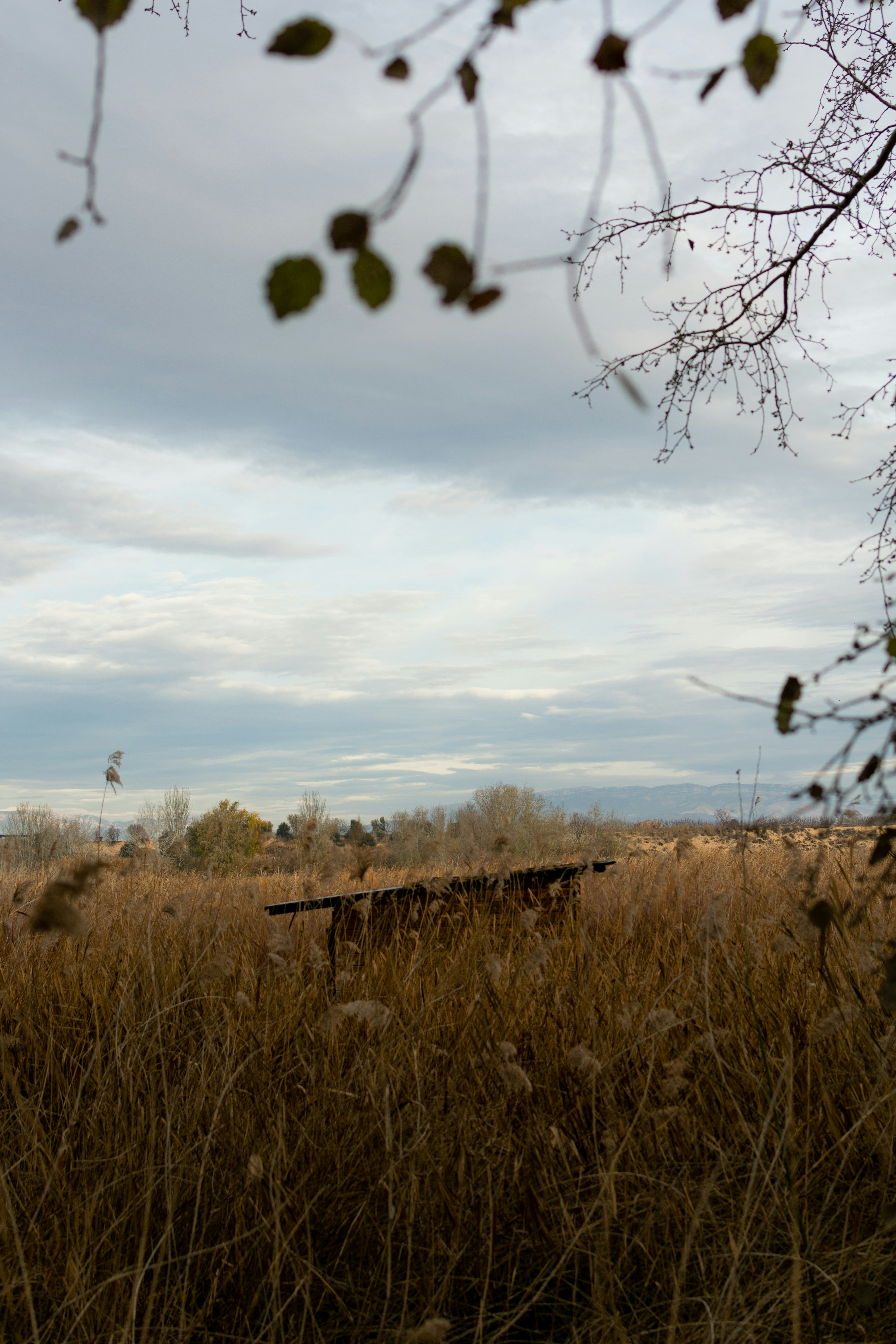 Photo by Anna Jiménez Calaf with Nikon D5200