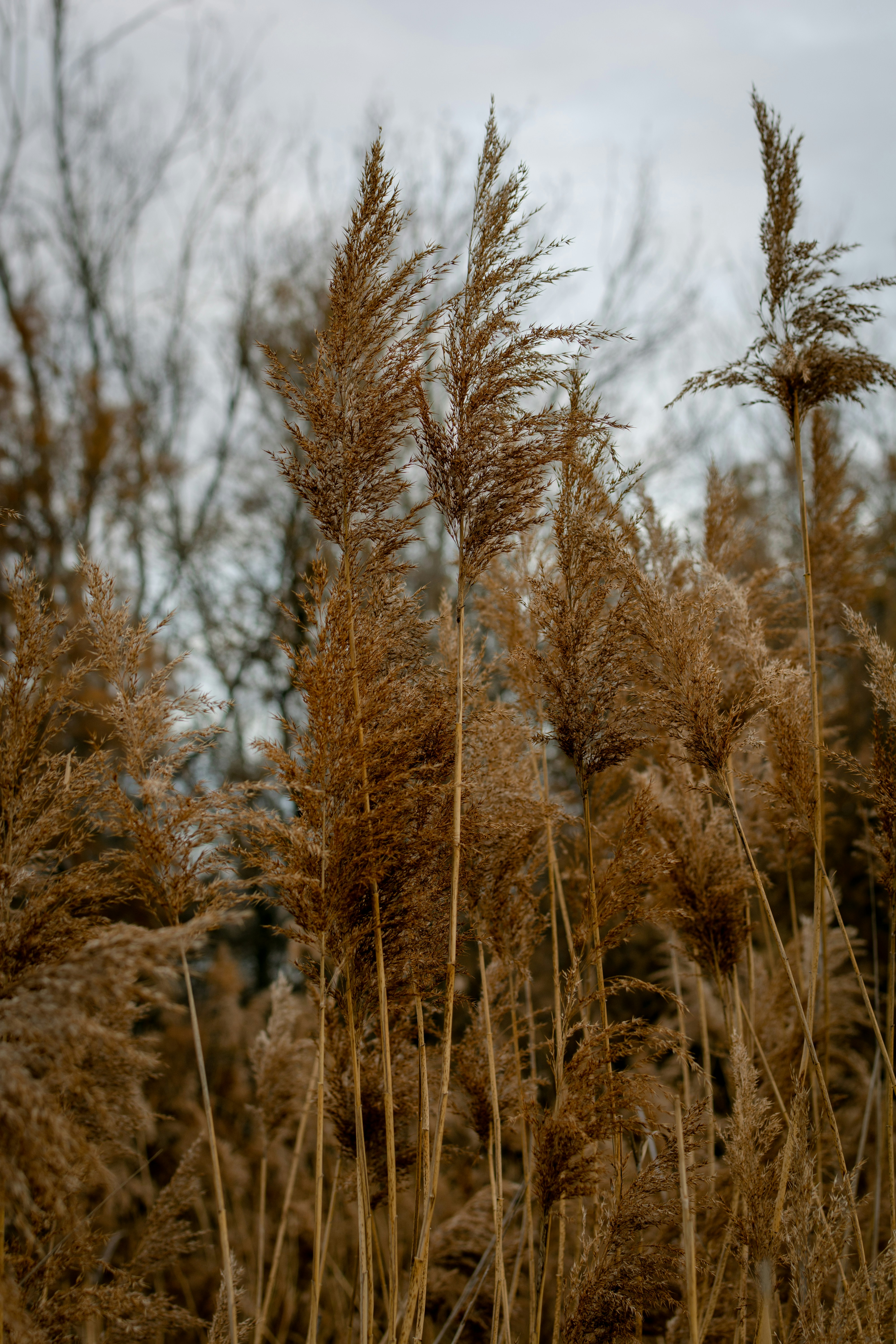 Photo by Anna Jiménez Calaf with Nikon D5200