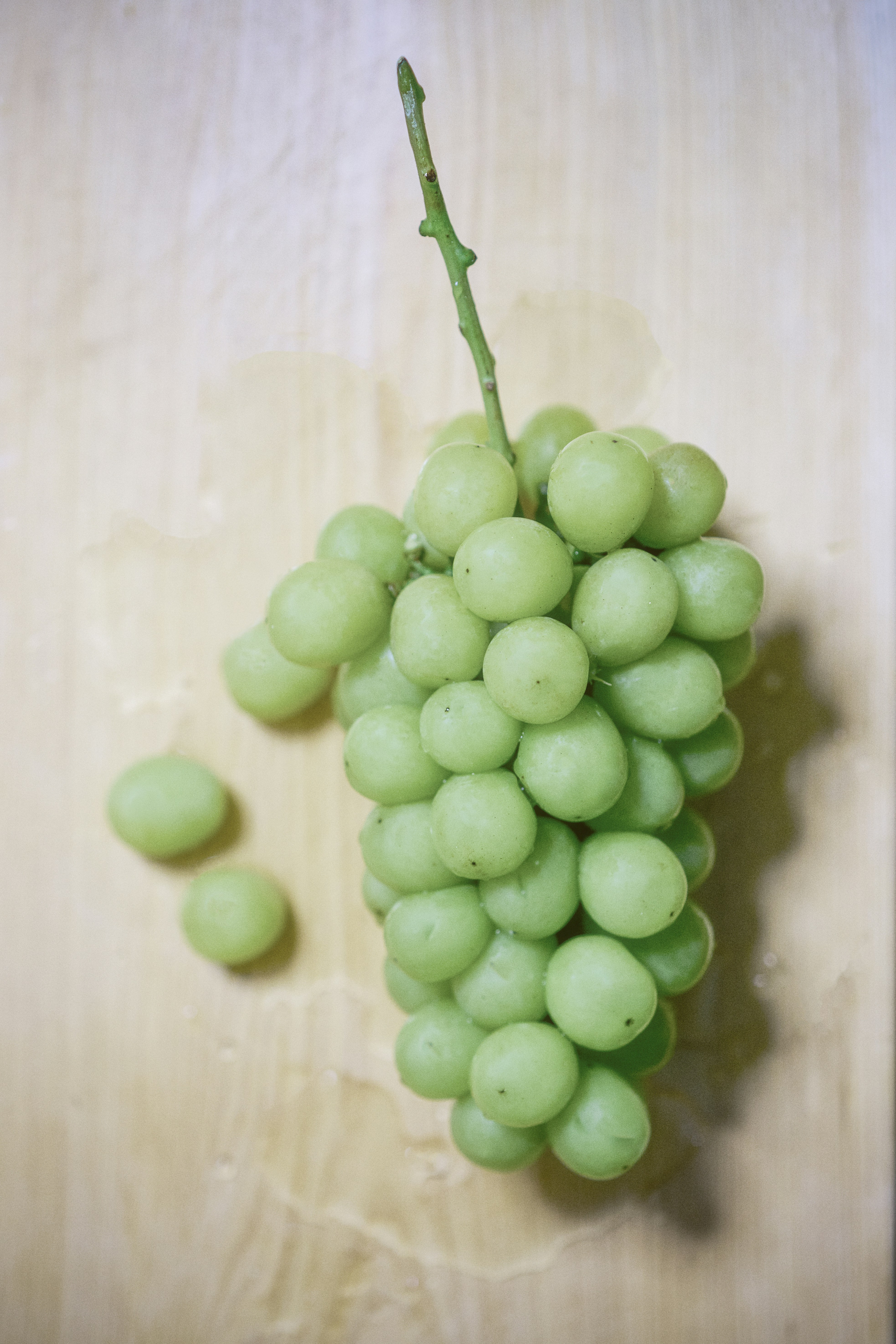 Photo by Buddy AN with Sony Alpha 7R V