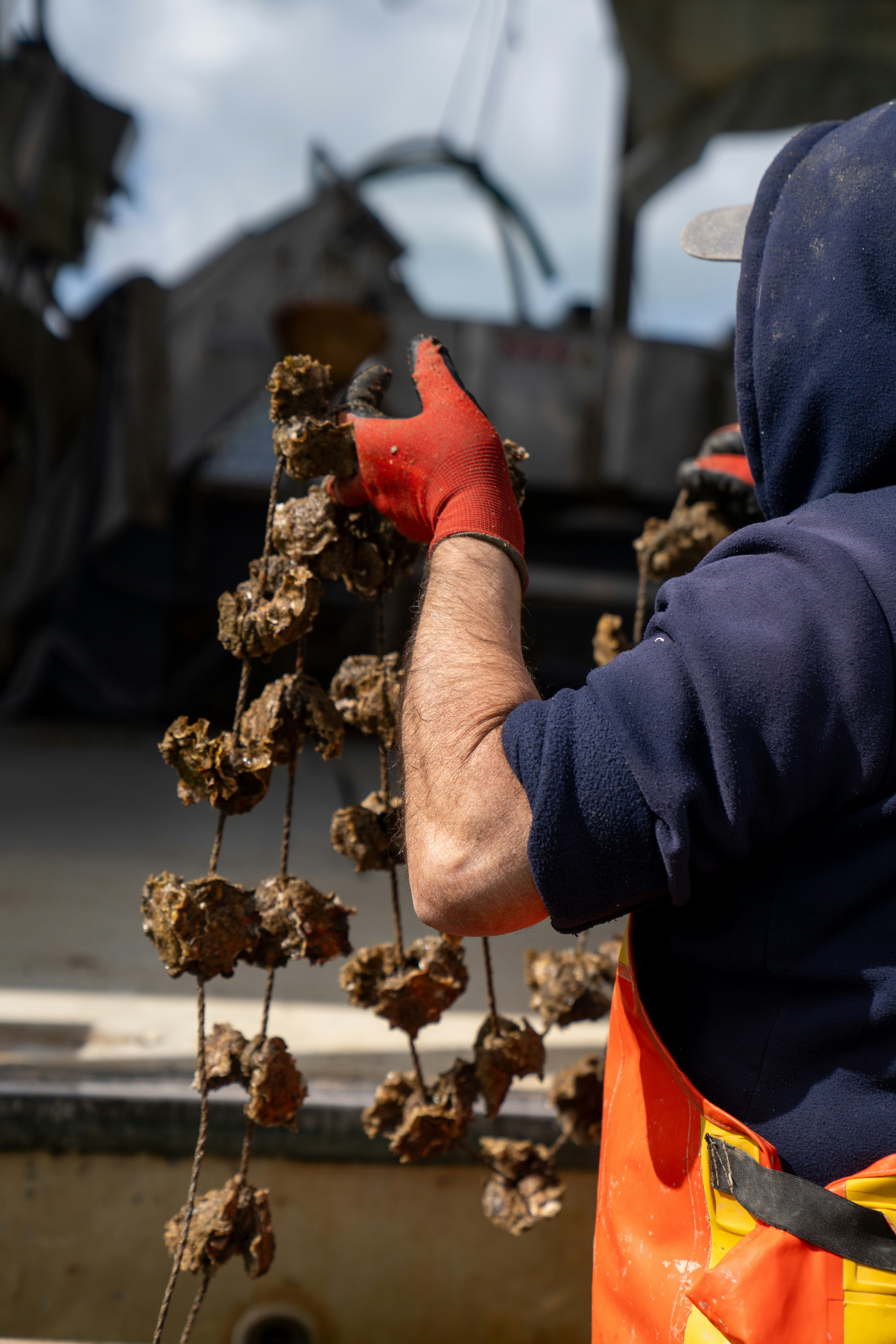 A man in an orange safety vest holding a bunch of food photo – Free ...