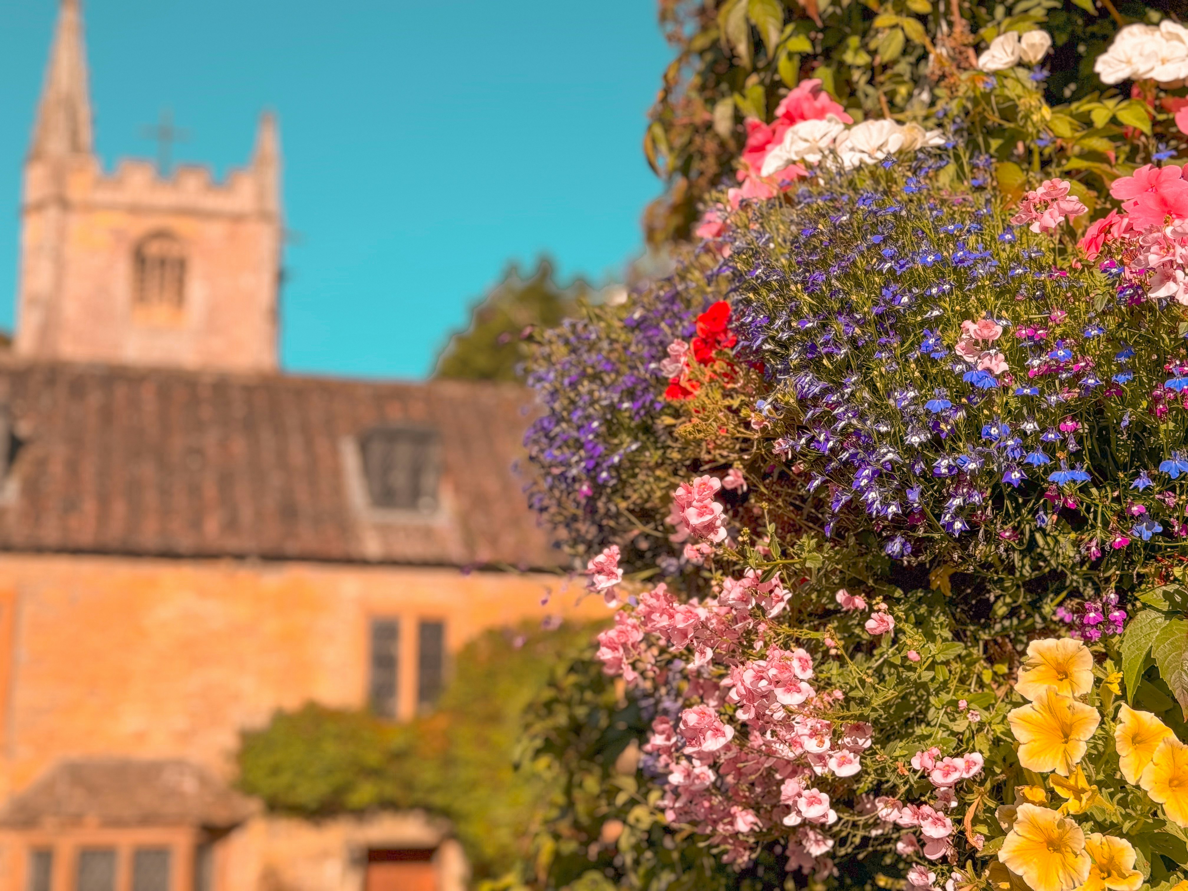 Floral Cascade Framing a Historic Masonry Backdrop