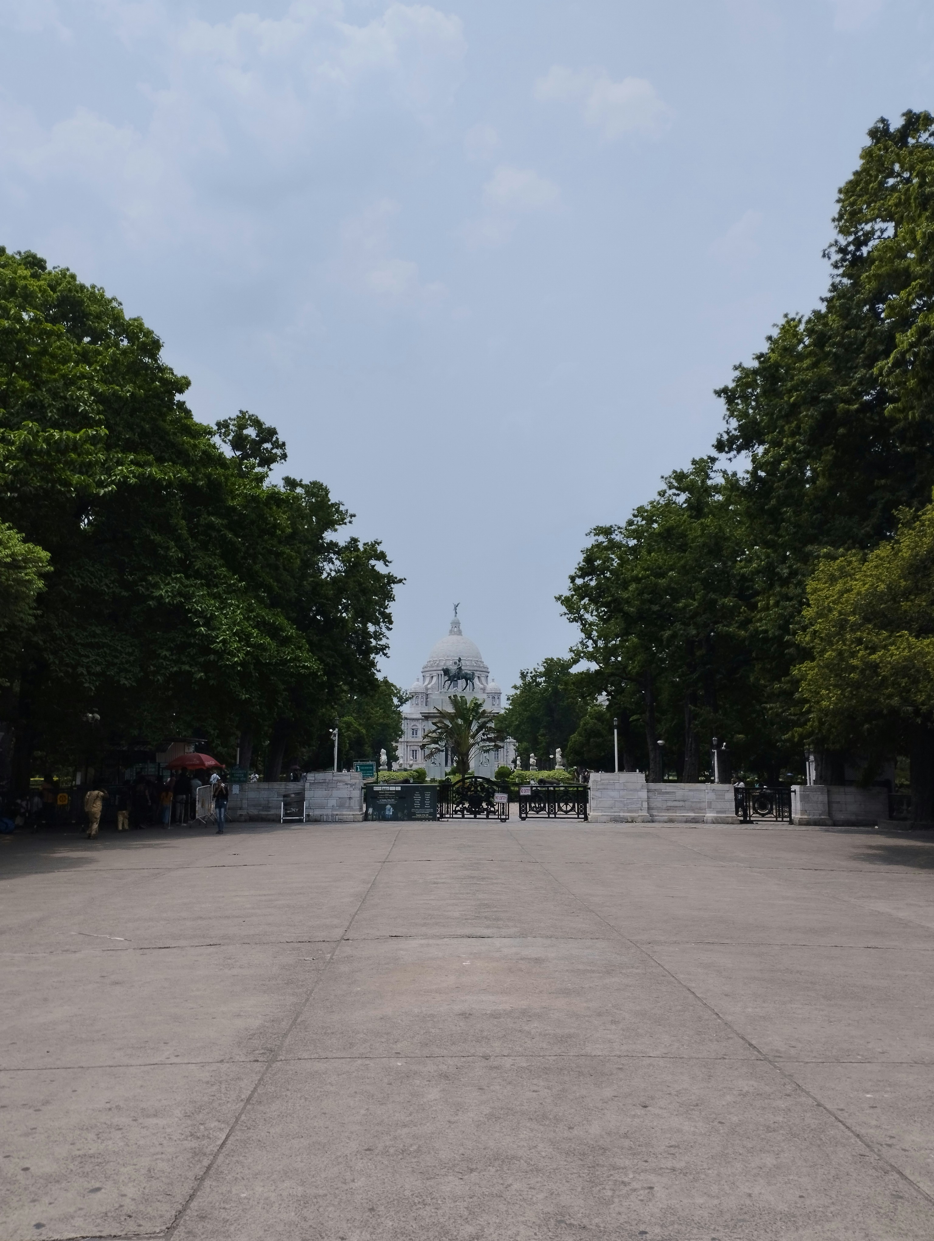 Axis to the Dome: Symmetry along a tree-lined approach