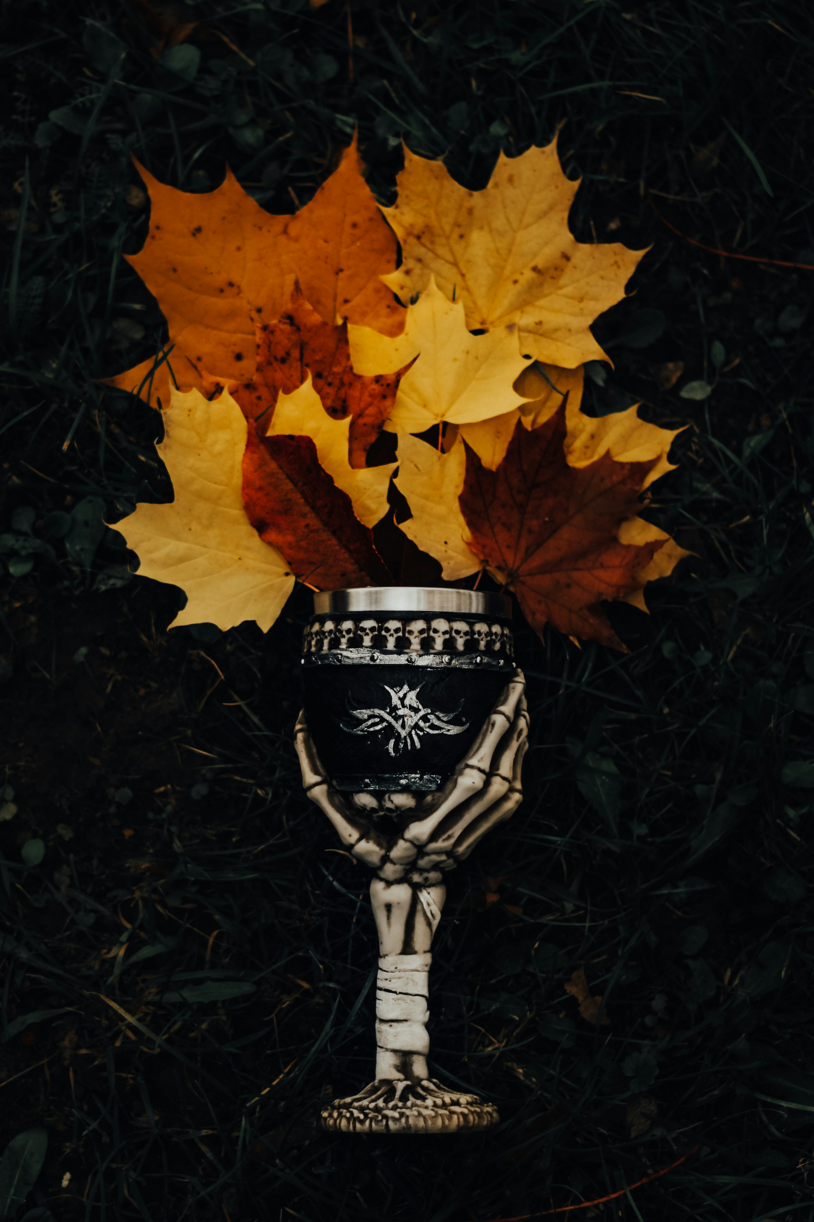 Gothic Goblet Cradled by Skeletal Hands Beneath Autumn Leaves