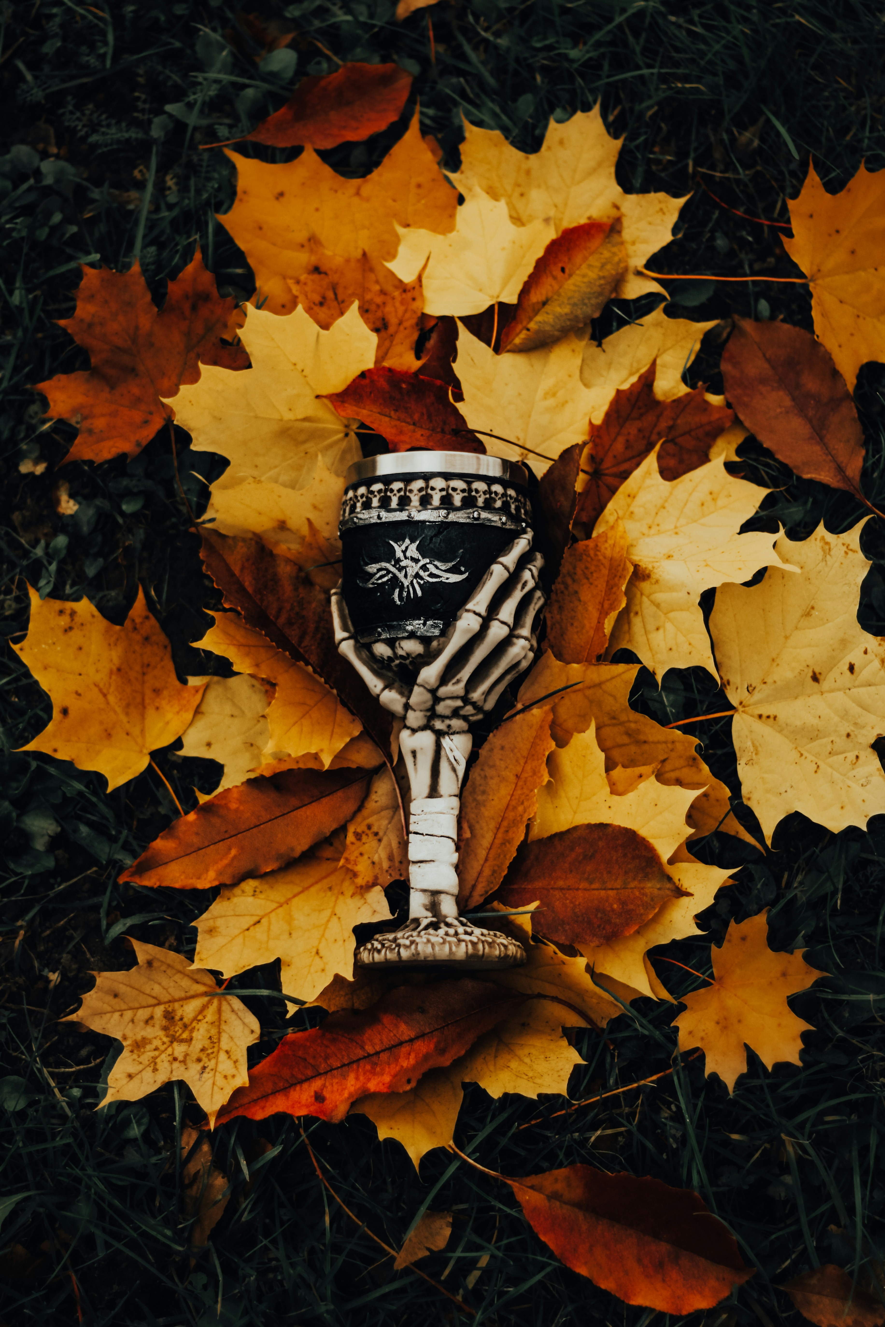 Skeleton-Hand Goblet Encircled by Golden Maple Leaves