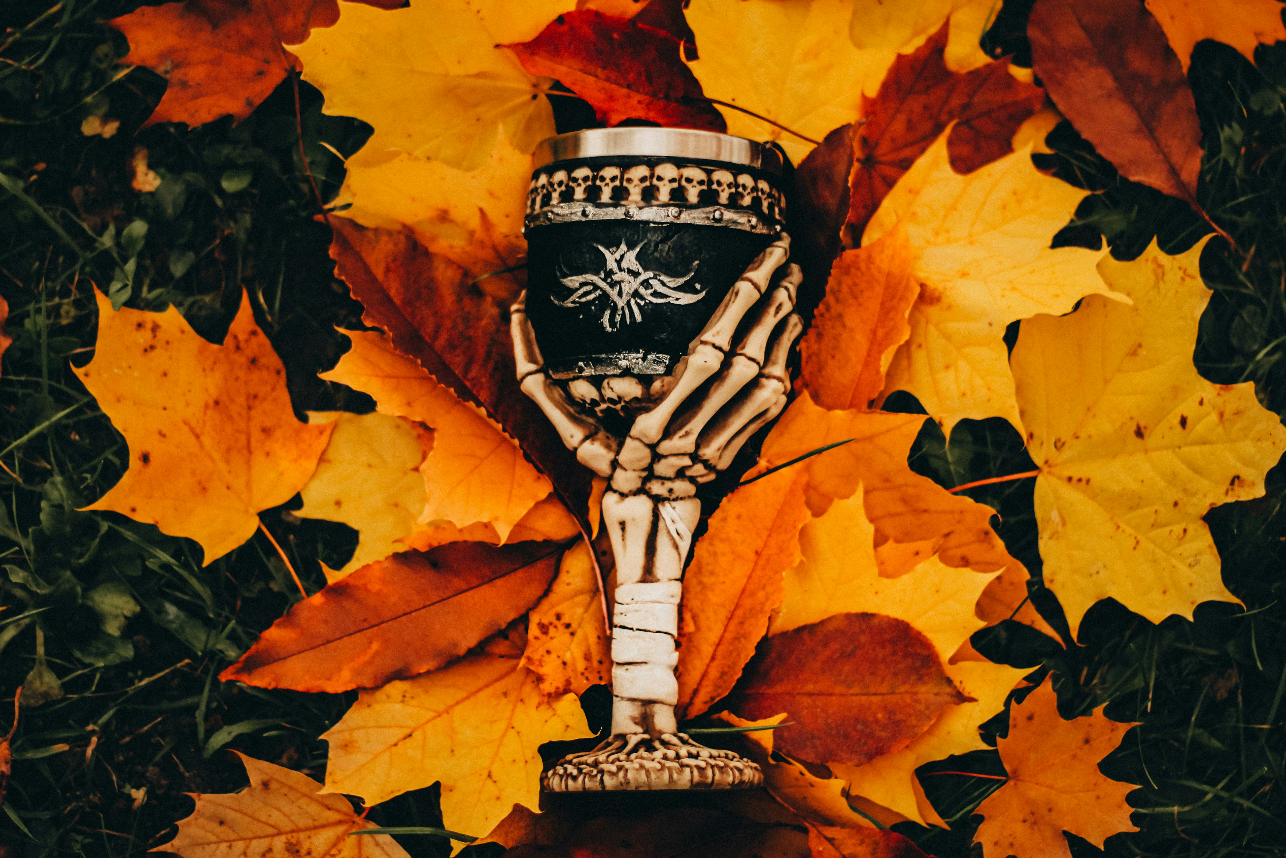 Autumn Chalice: a Skeleton-shaped goblet rests among fiery leaves