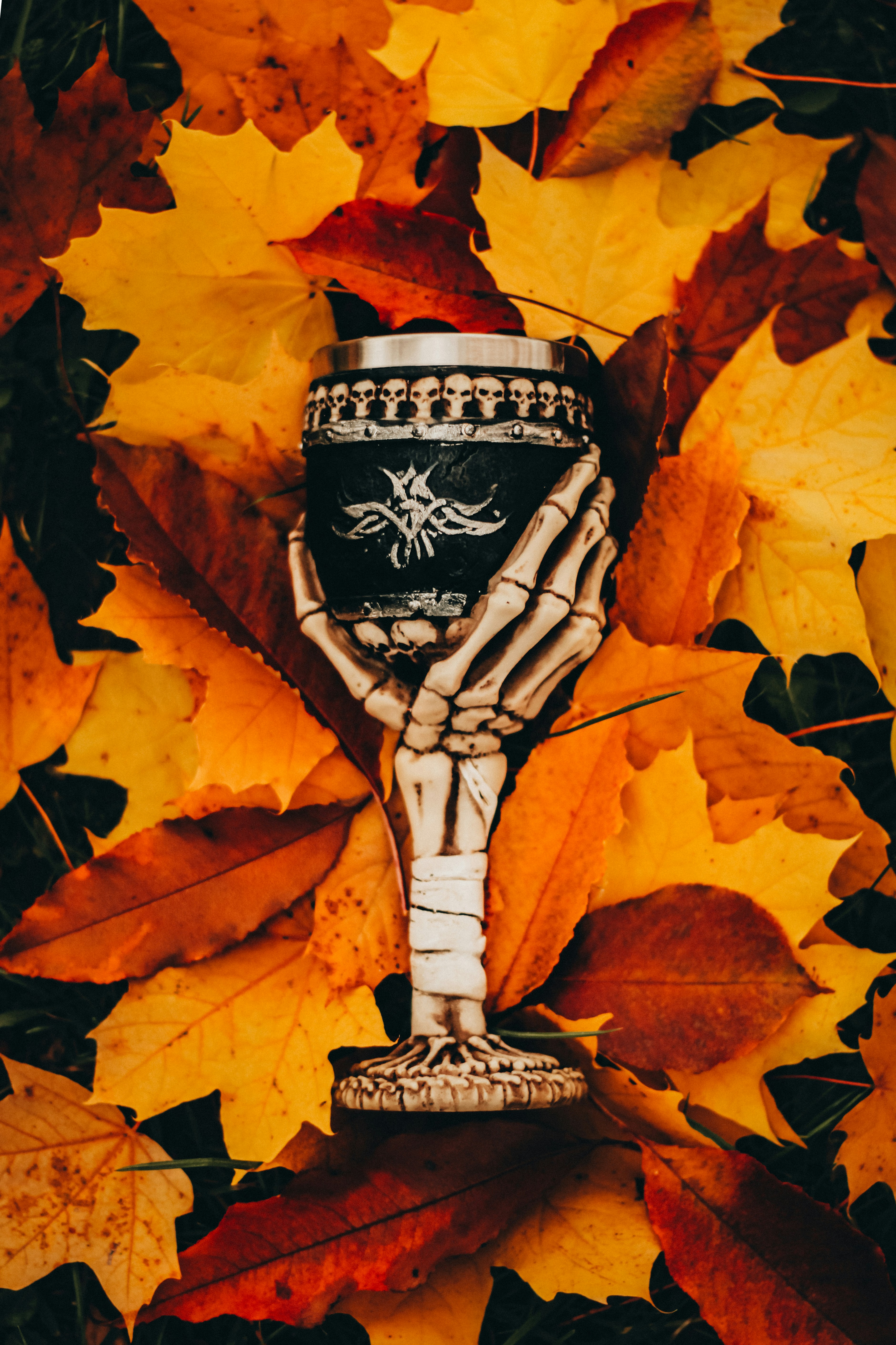 Chalice of the Silent Hand Nestled Among Autumn's Ember Leaves