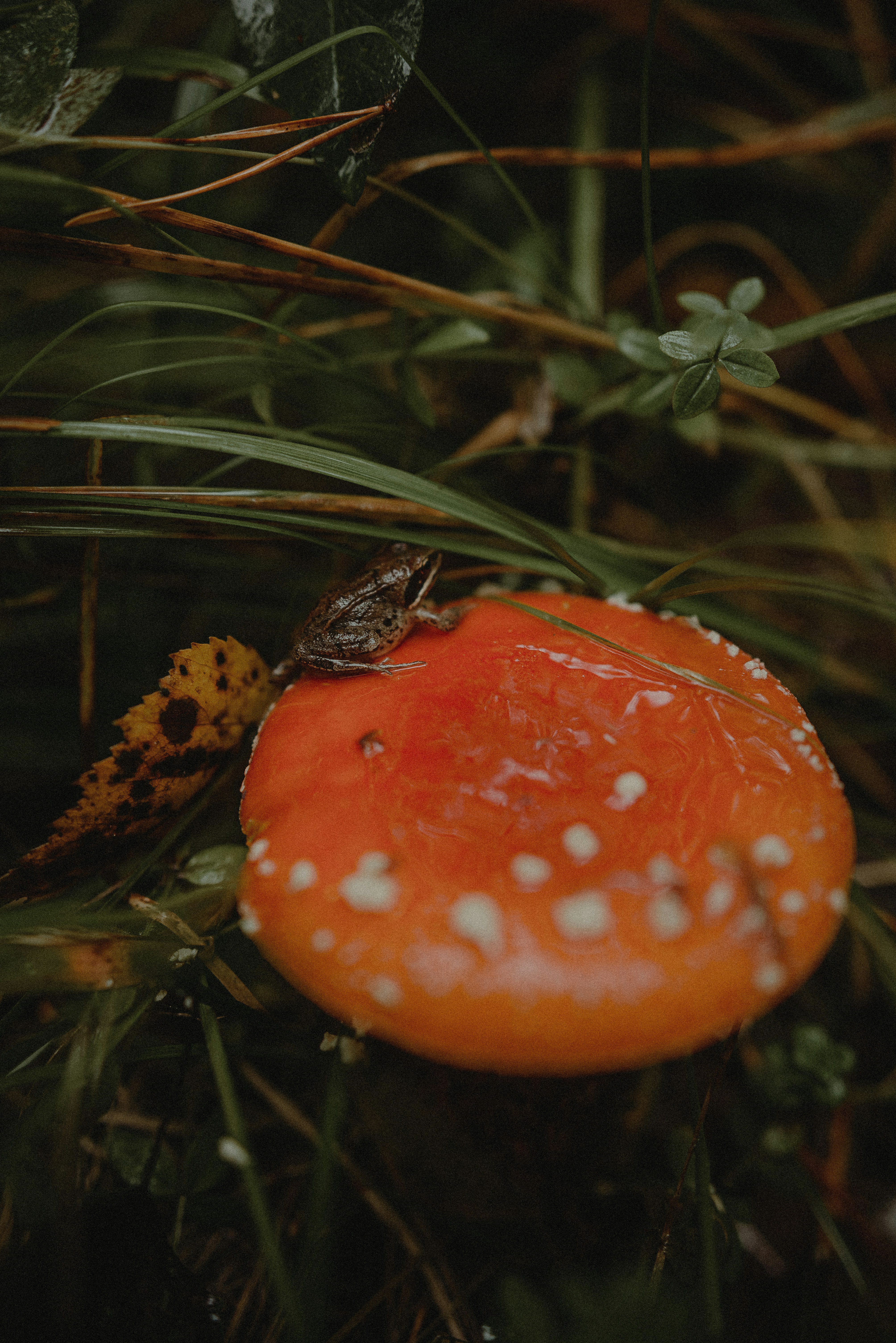 Photo by Vasilina Sirotina with Nikon D750