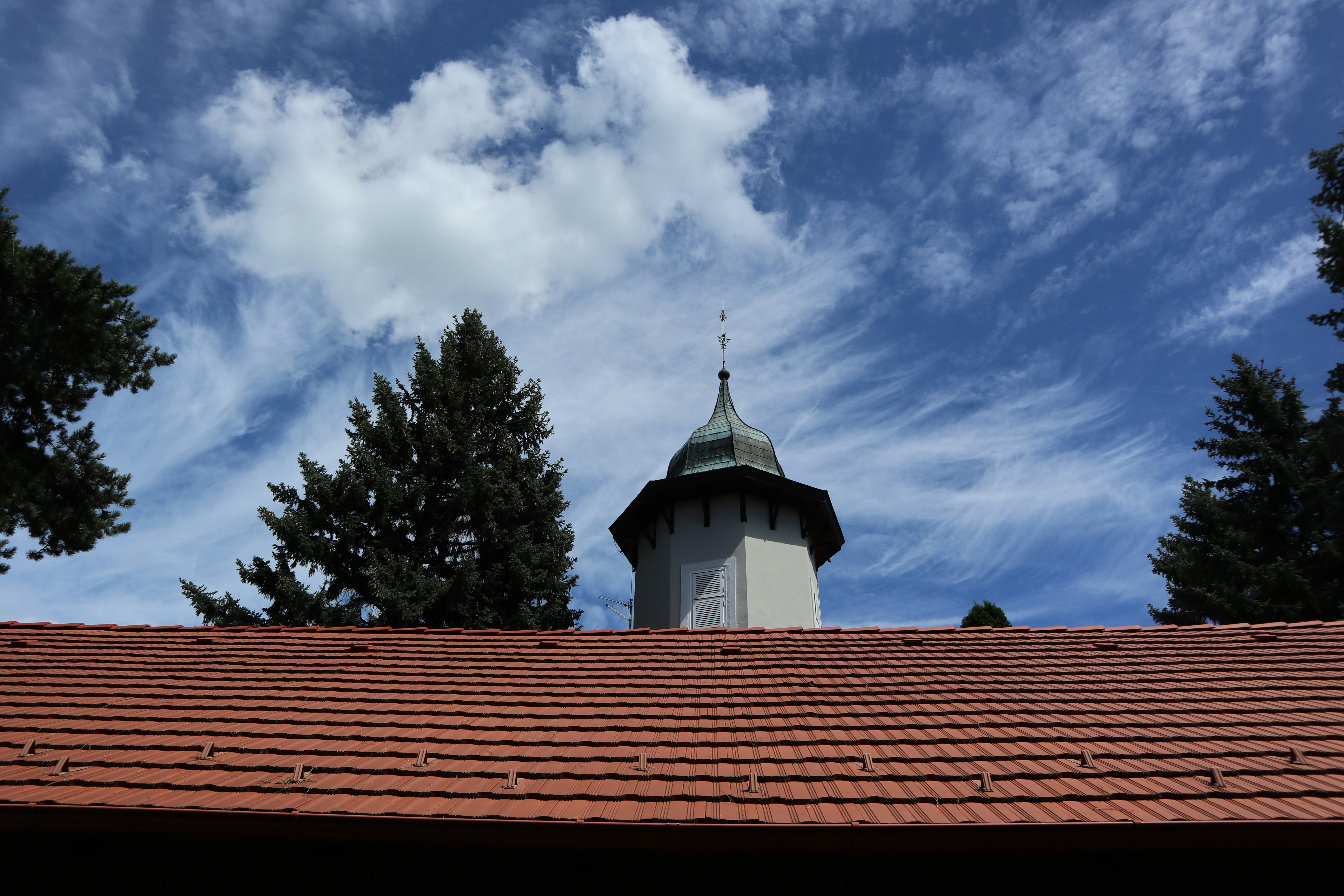 Photo by Balint Miko with Canon EOS M100