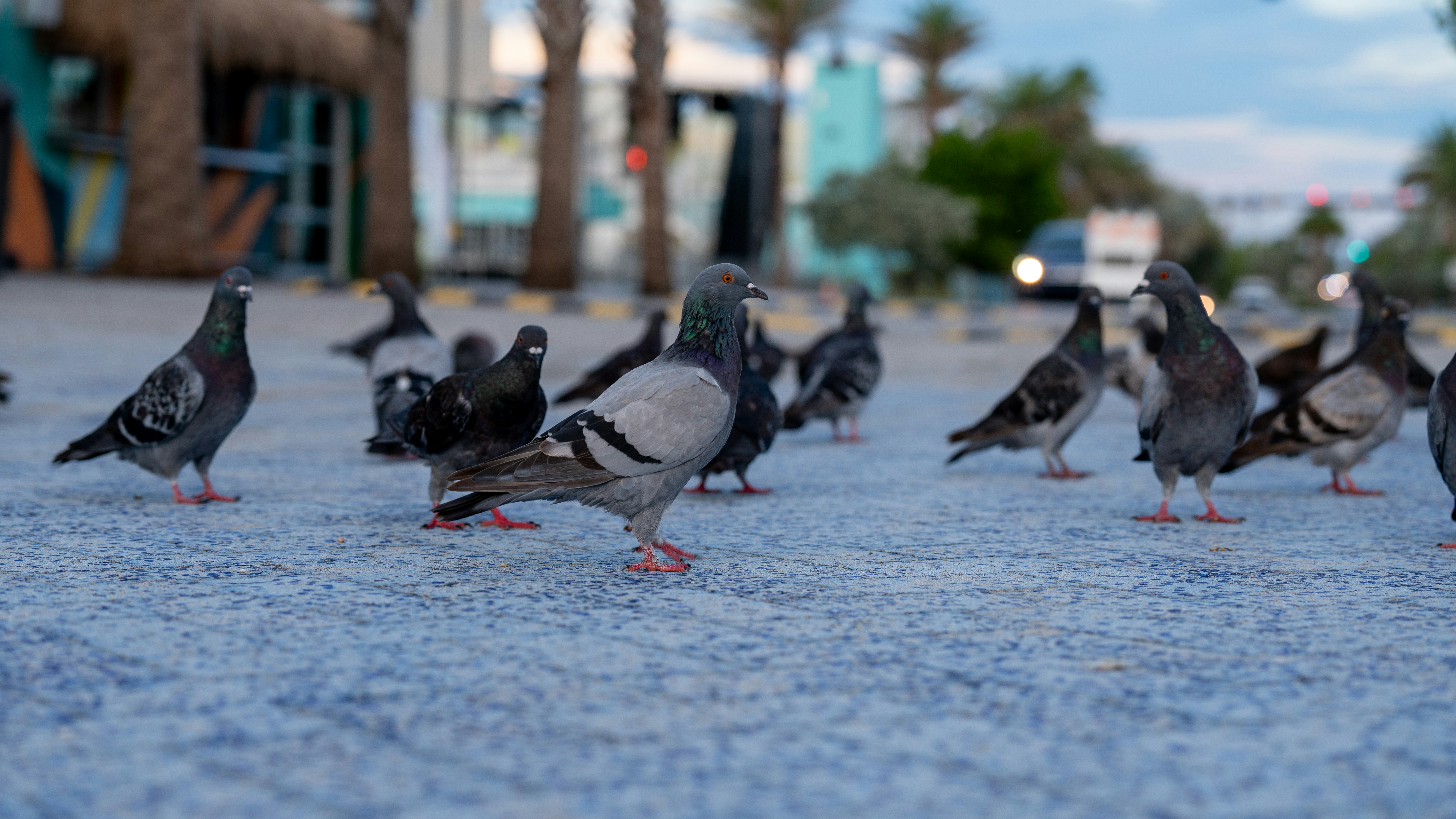 Photo by Martin Podsiad with Sony Alpha 7R IIIA
