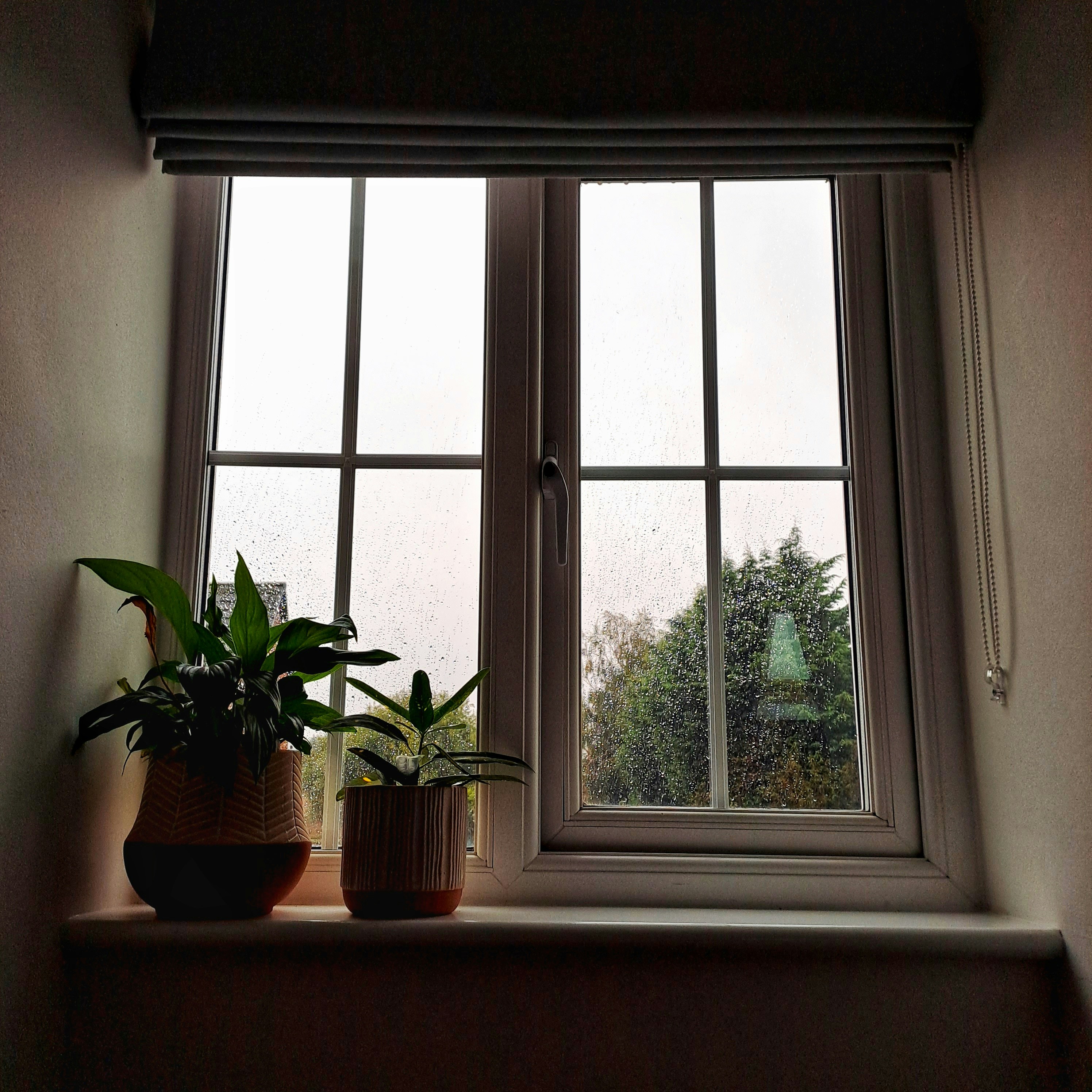 Rain-streaked window with two potted plants on the sill, overlooking a cloudy outdoor scene.