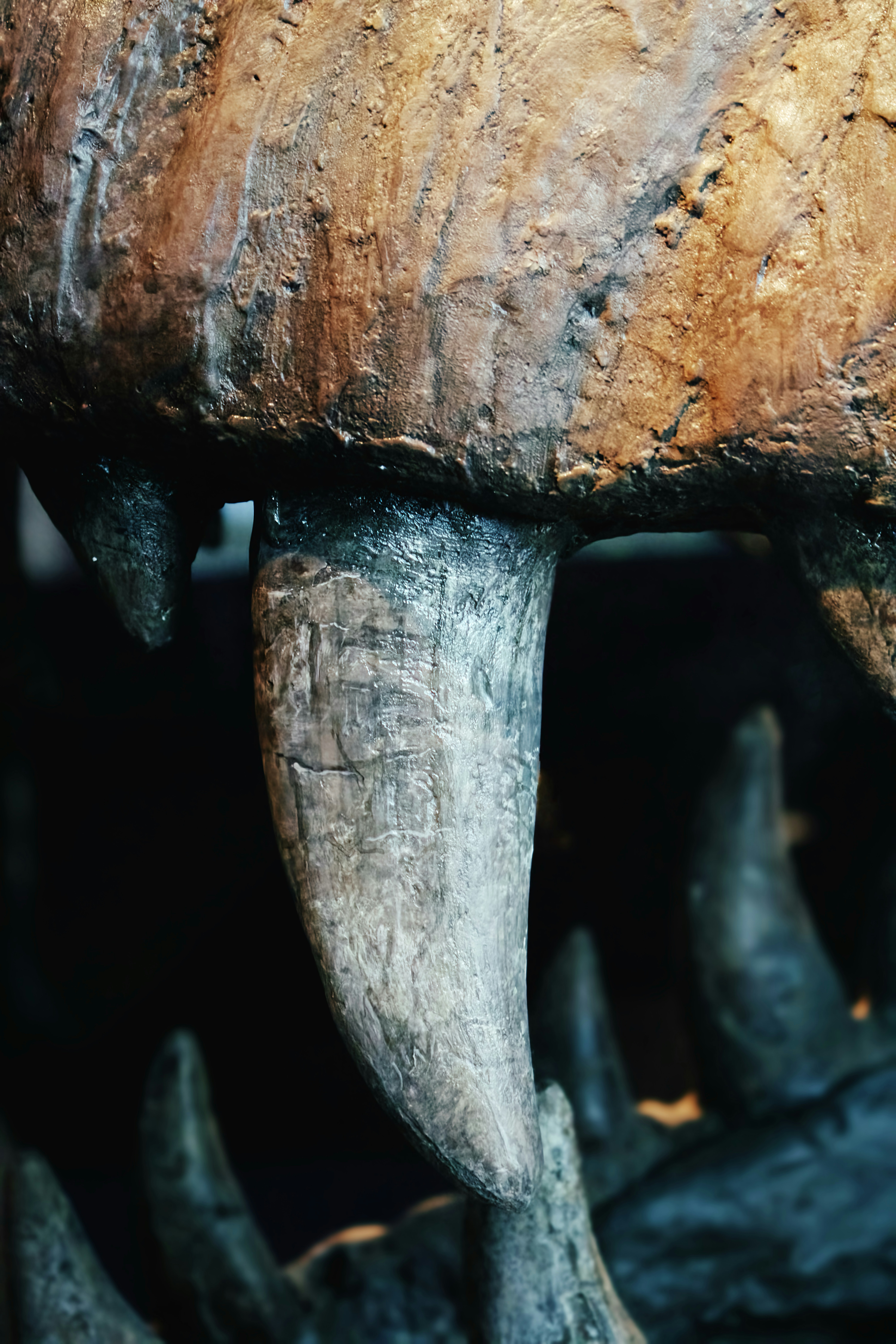 Megafauna's Silent Fang Emerges from Stone